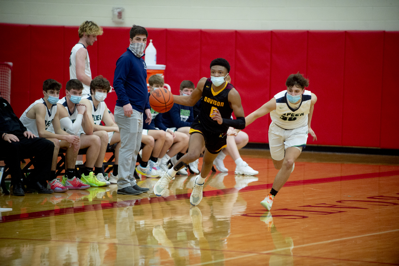Davison defeats Lapeer in Division 1 district semifinal boys basketball ...