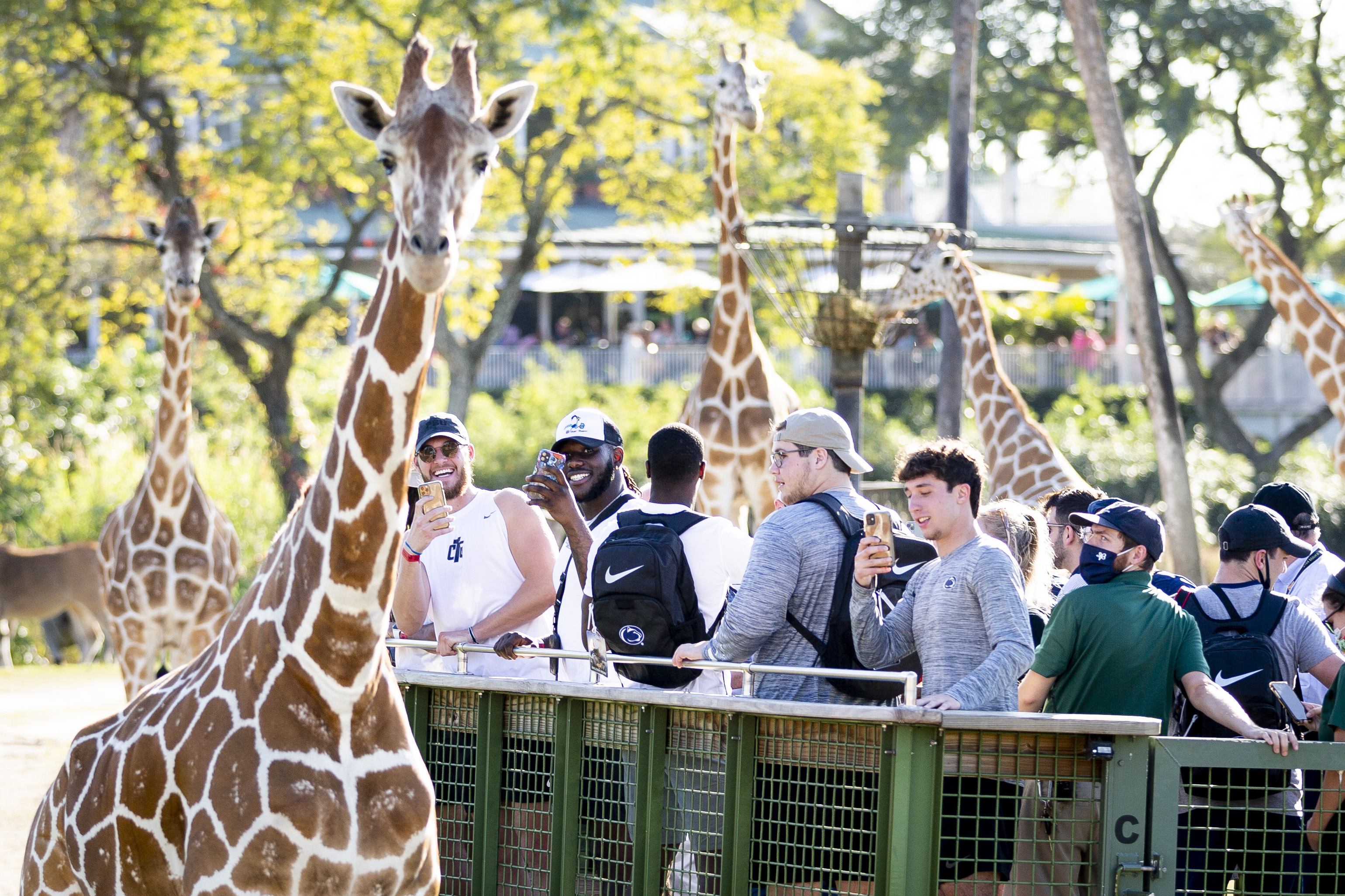 Penn State Busch Gardens visit, Dec. 29, 2021 - pennlive.com