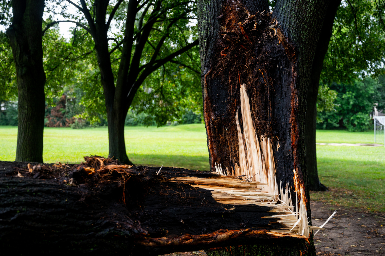 Ann Arbor flood and wind damage after overnight storms - mlive.com