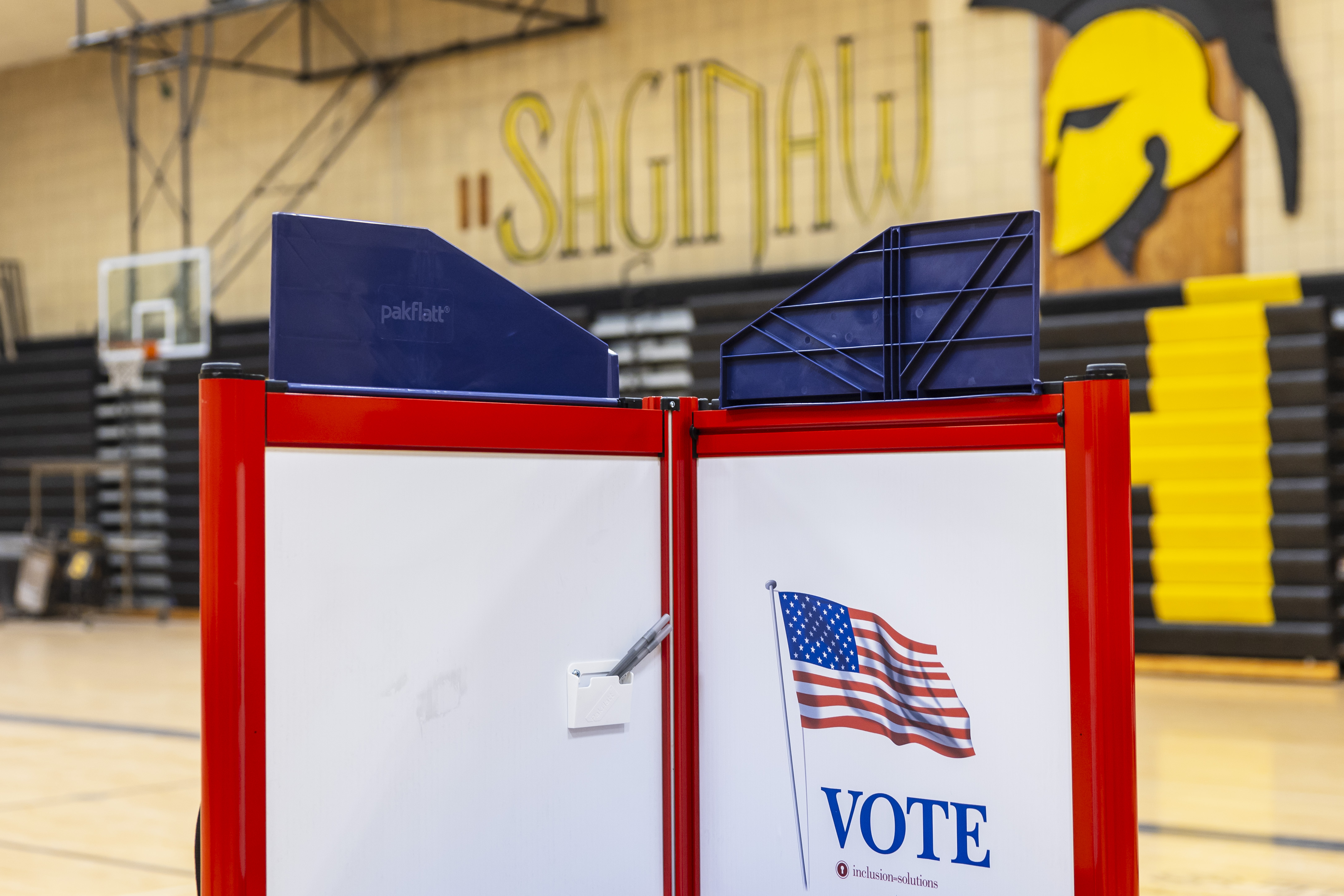 Mid-Michigan voters head to the polls for 2024 primary election - mlive.com