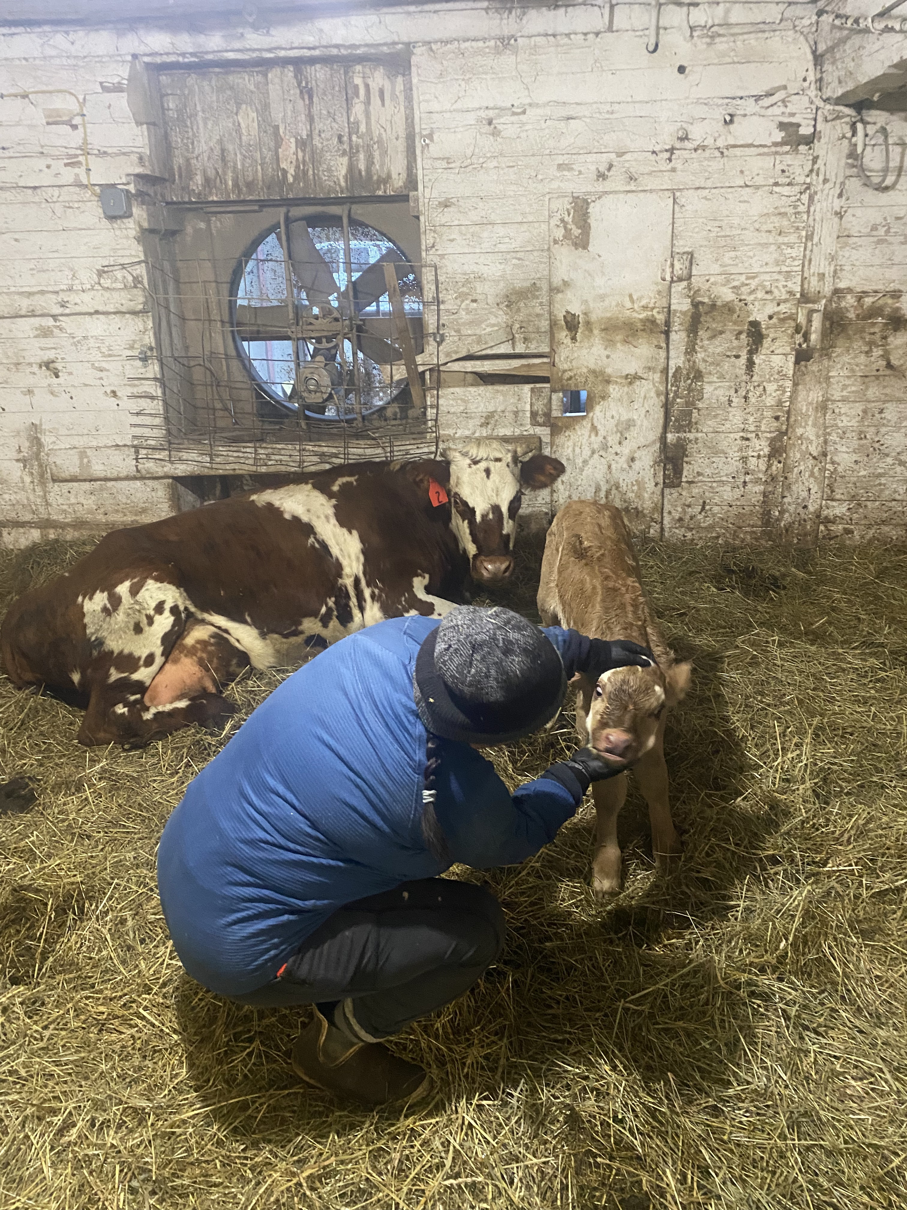 Life on Hawthorne Valley Farm - nj.com