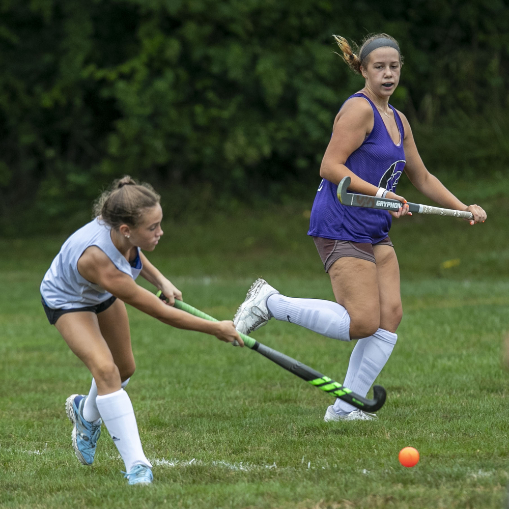 Northern York Field Hockey has new head coach - pennlive.com