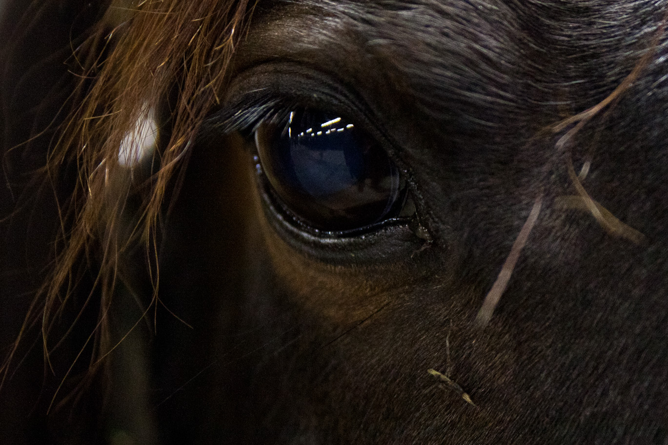 Sports Creek Raceway through the years in Swartz Creek - mlive.com