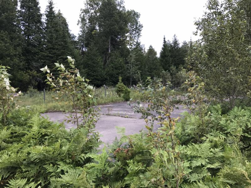 Butterfield Island, Michigan - mlive.com