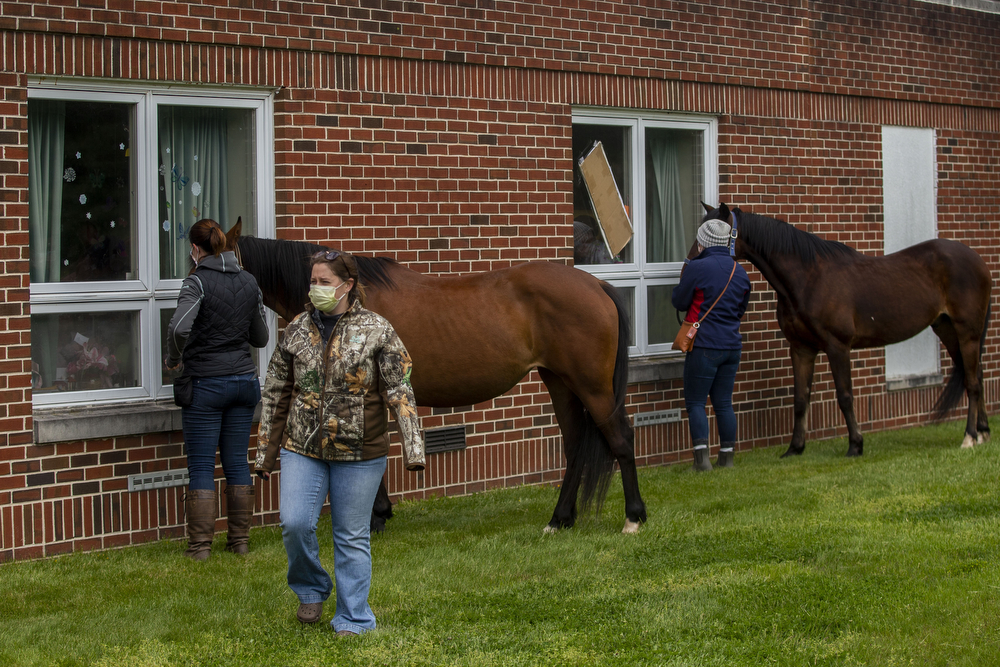 Horses and service dogs visit residents of The Middletown Home ...