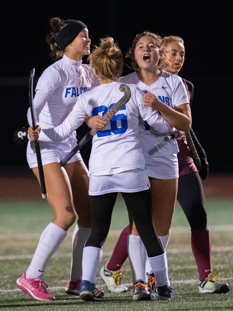 Lower Dauphin heads back to Field Hockey State Championship final ...