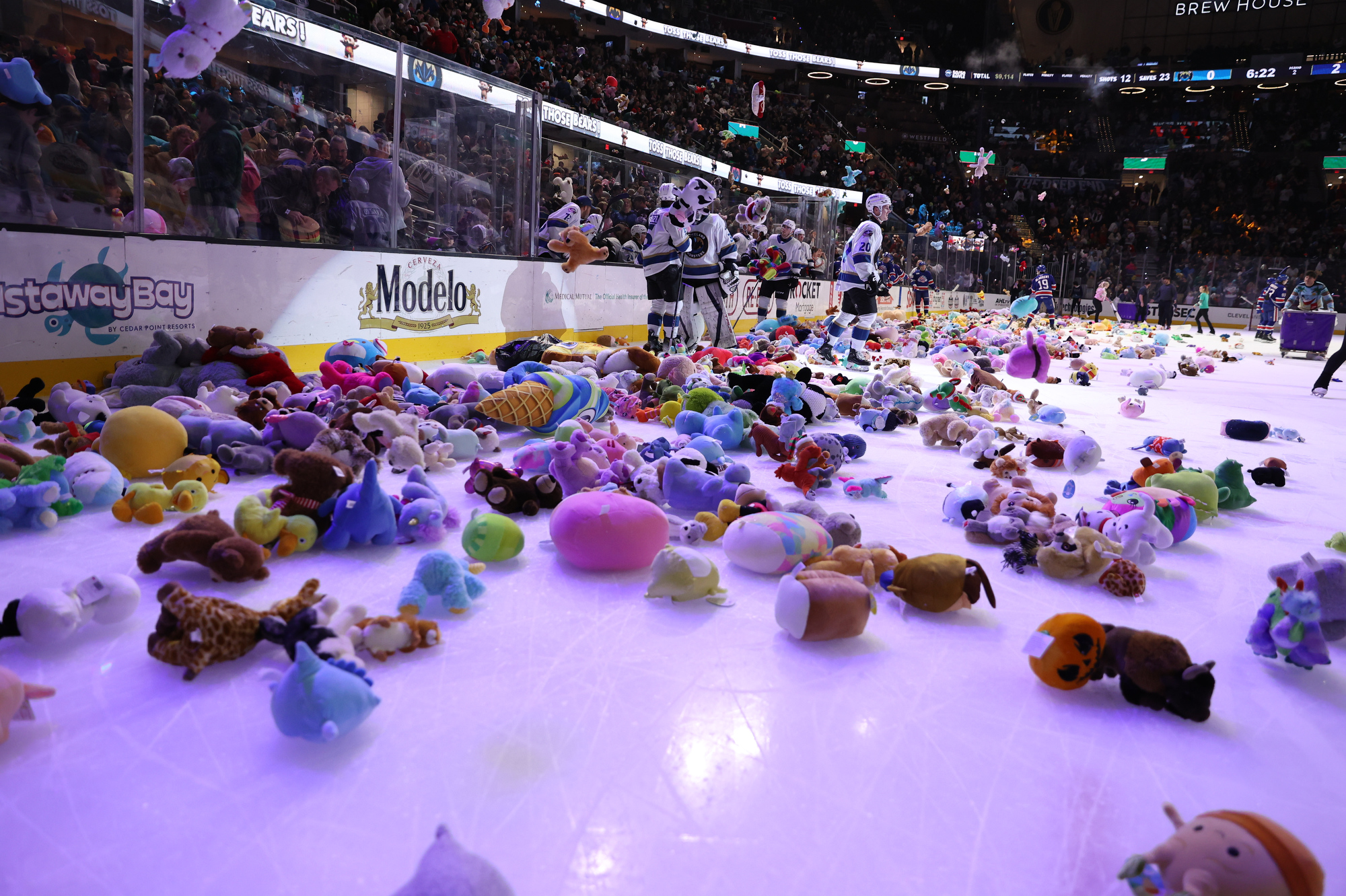 Teddy Bear Toss at Cleveland Monsters game - cleveland.com