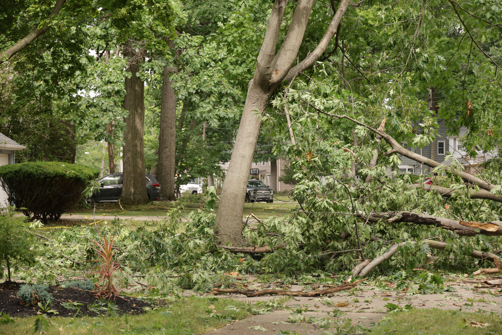 Storm damage around Northeast Ohio, August 7, 2024 - cleveland.com