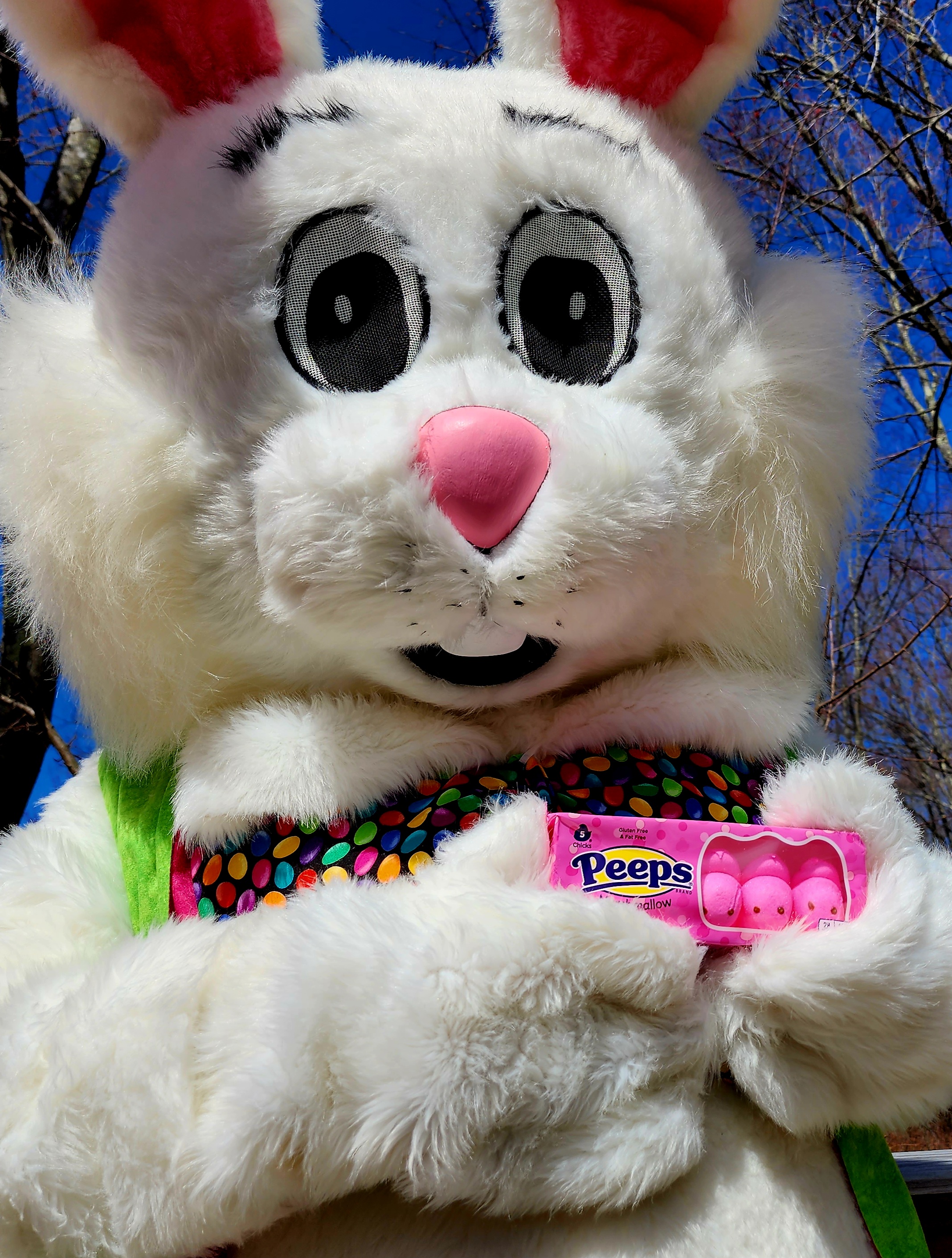 Easter Trail Hop egg-citing for West Springfield children - masslive.com