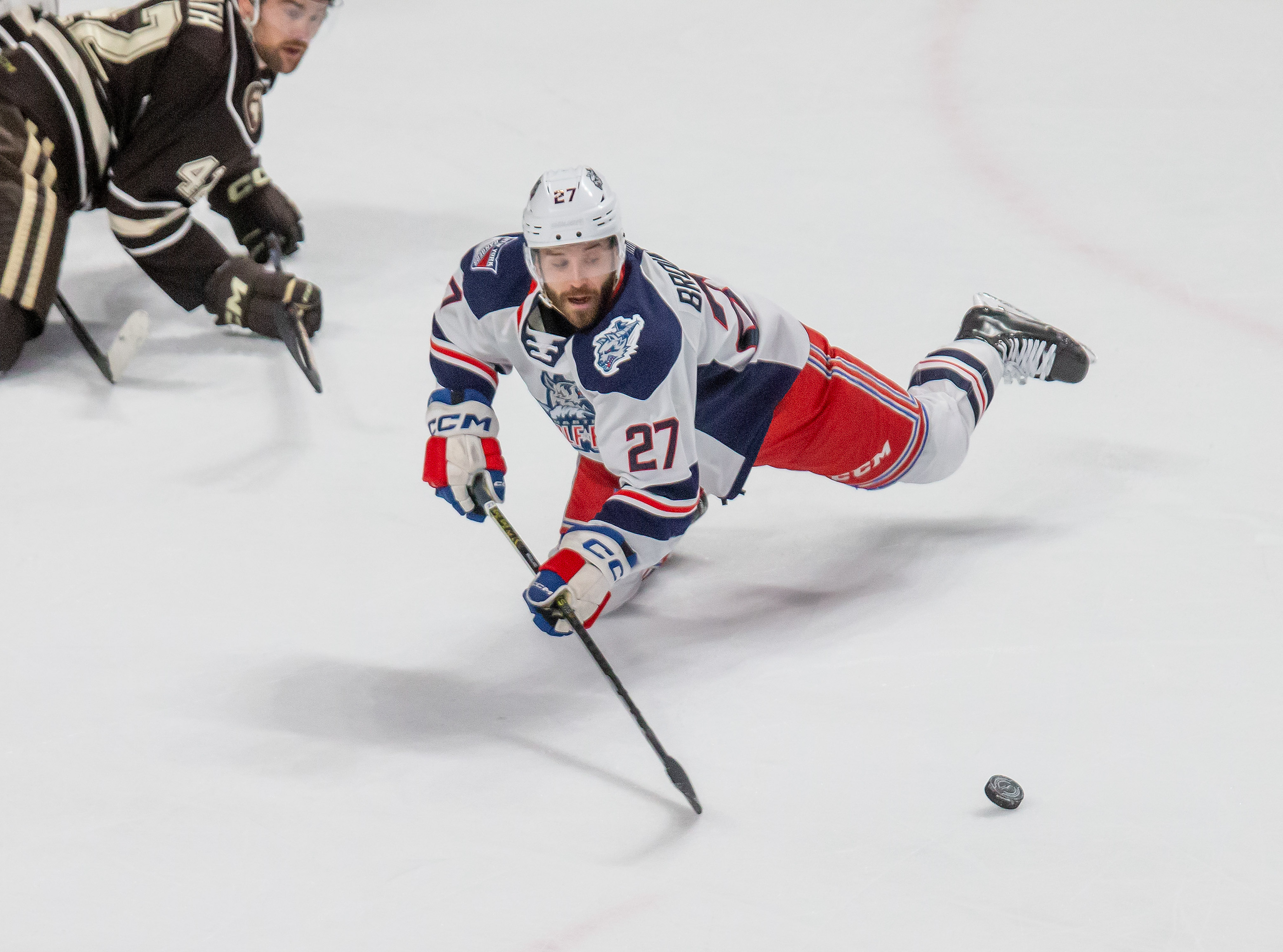 Hershey Bears vs Hartford Wolf Pack in game 1 of Atlantic Division ...