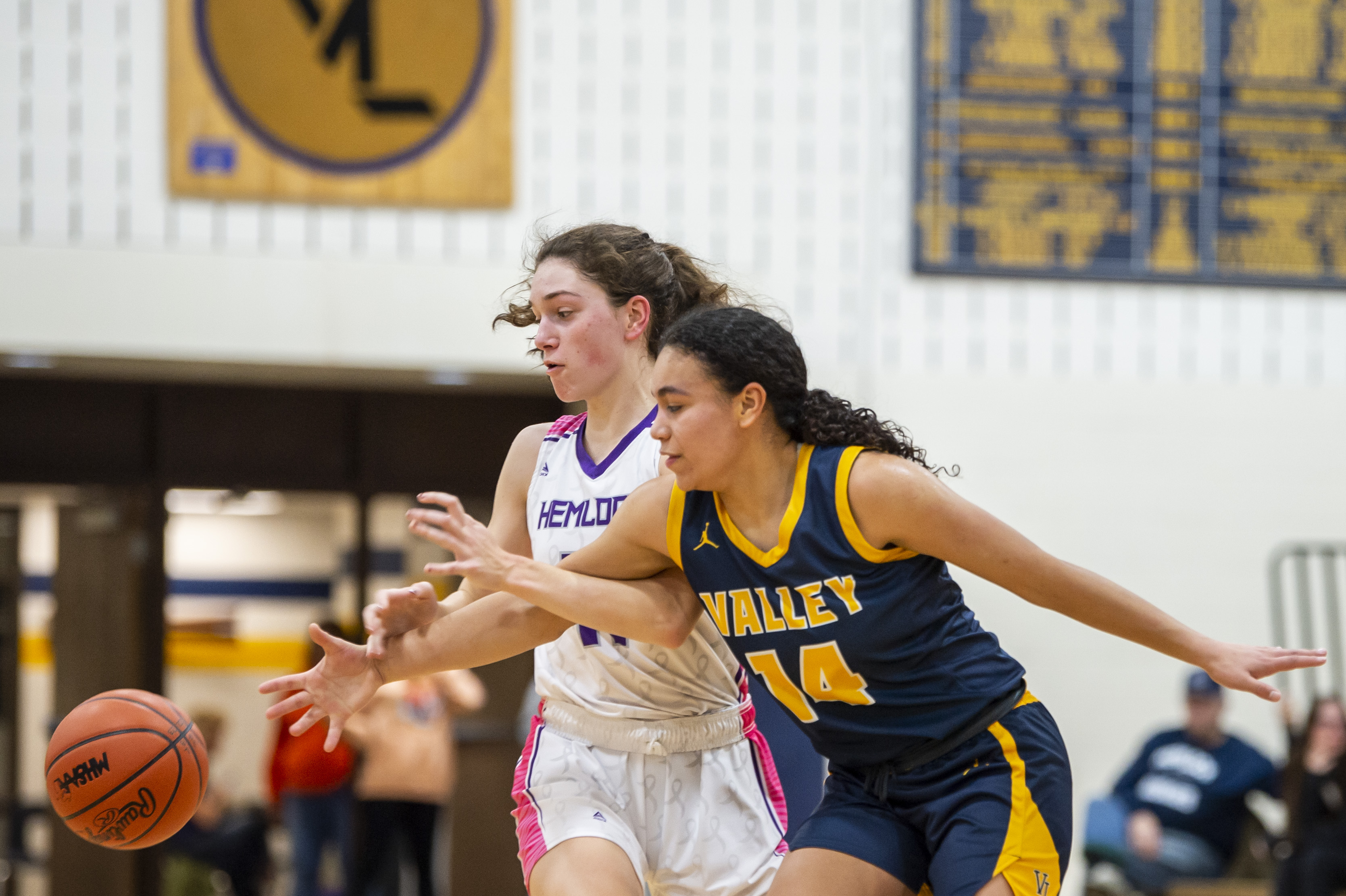 Valley Lutheran girls basketball hosts Hemlock - mlive.com
