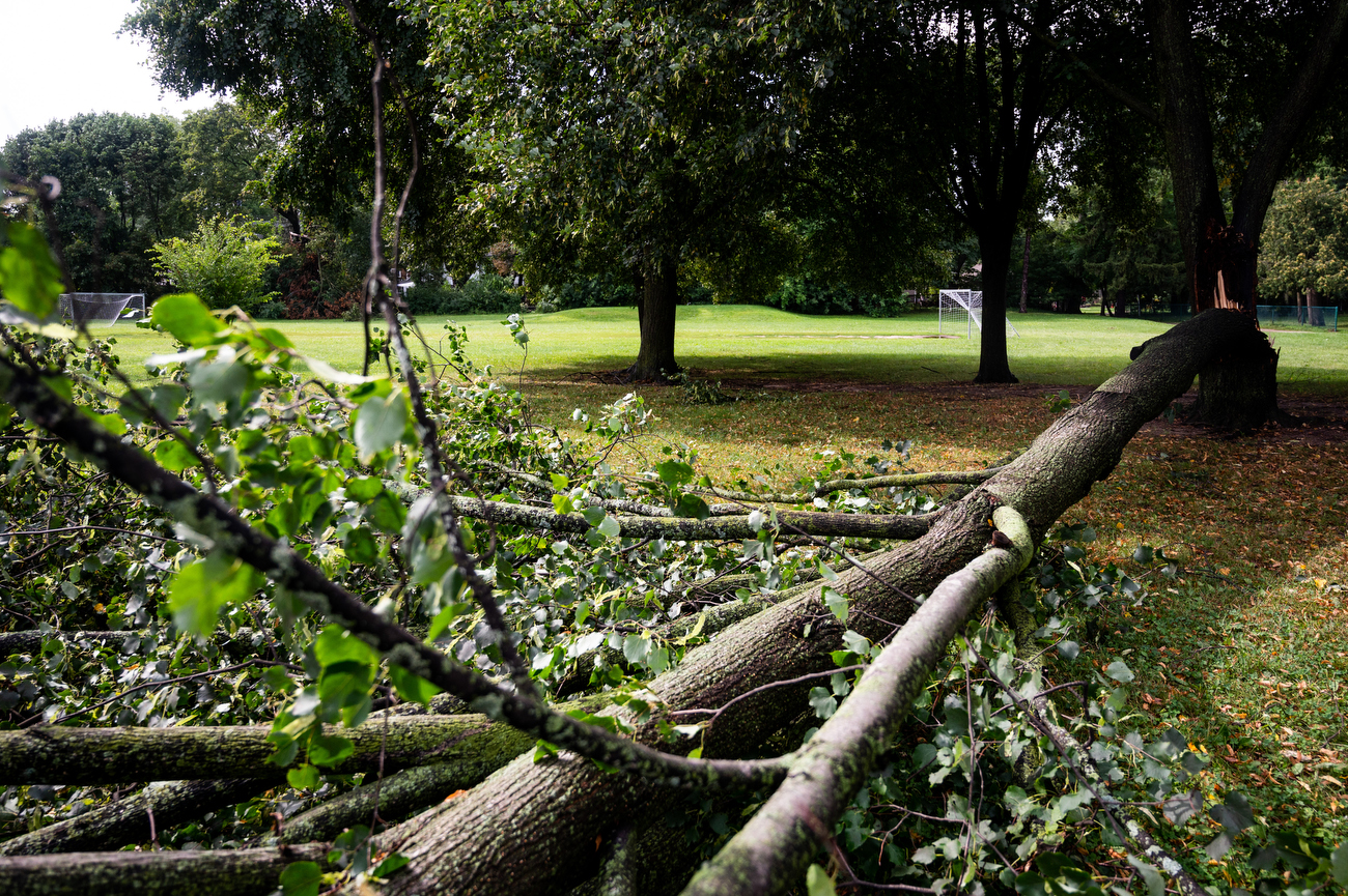 Ann Arbor flood and wind damage after overnight storms - mlive.com