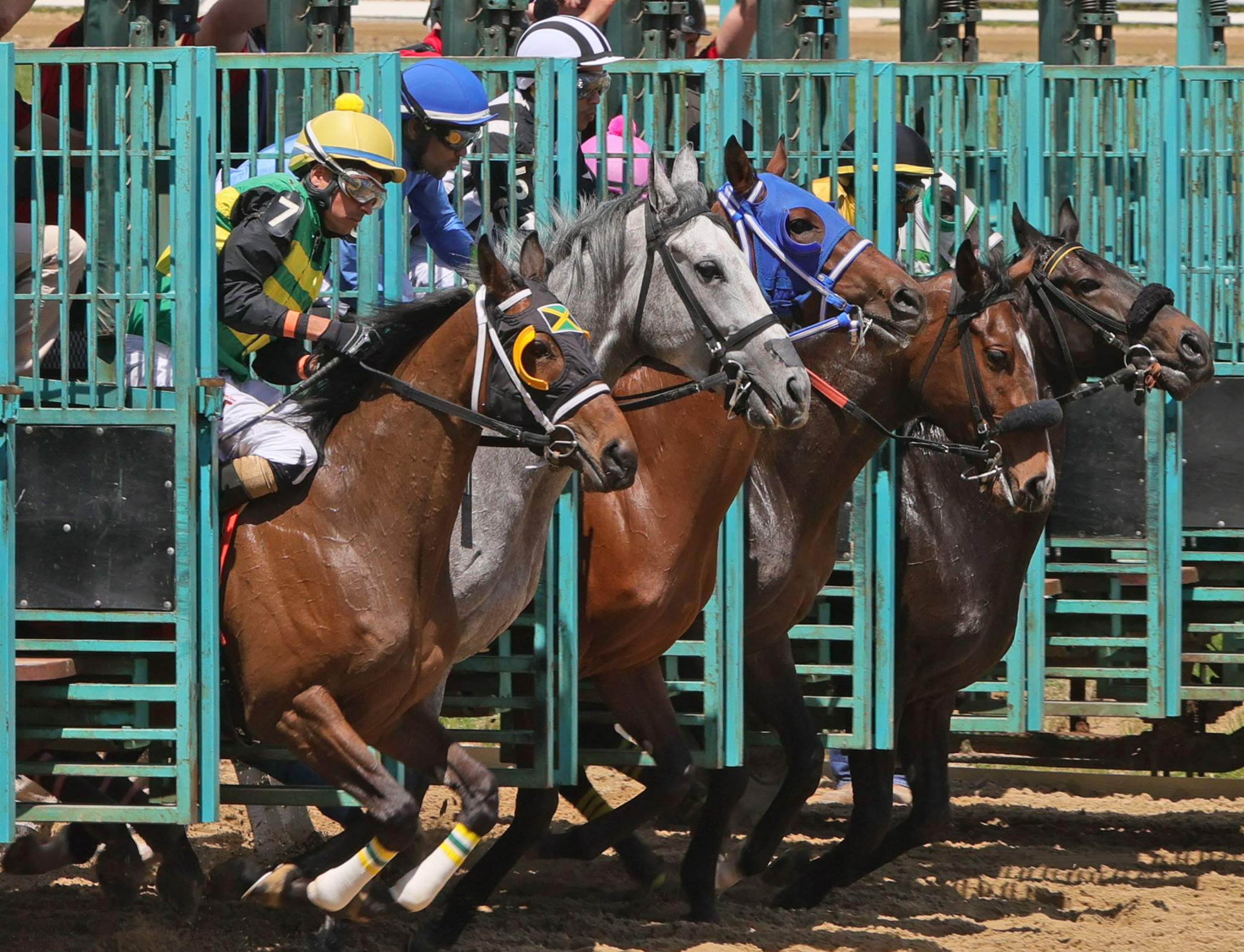 Kentucky Derby winning jockey Sonny Leon is a horse racing regular in ...
