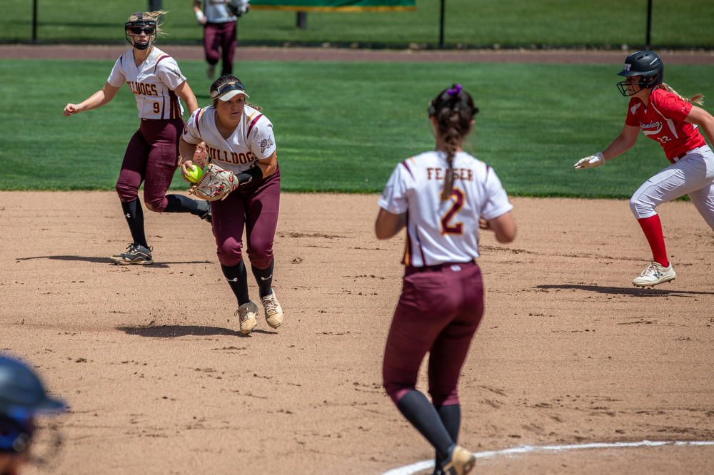 Big Spring puts up fight but falls to Hamburg in D3 softball title game ...
