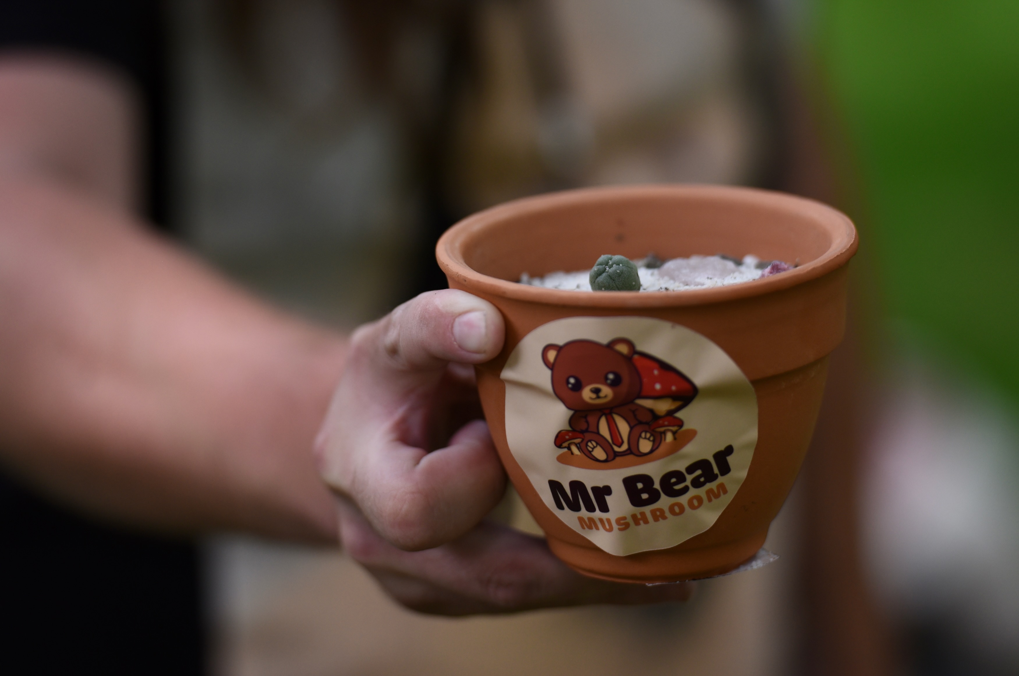 Scenes from Ann Arbor's 2023 psychedelic plant and shroom fest, a.k.a ...