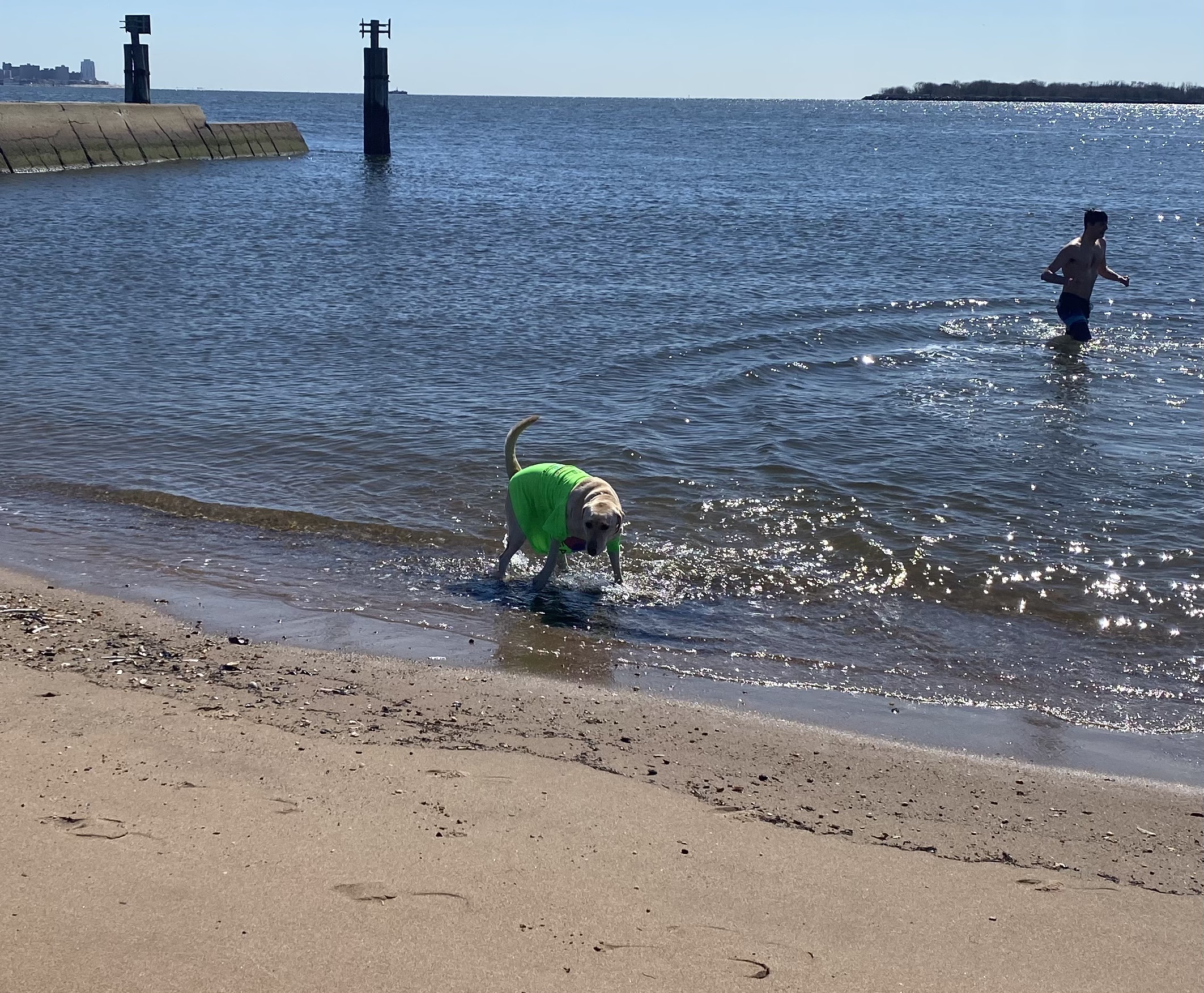 Polar Plunge for John Hudson Dilgen - silive.com