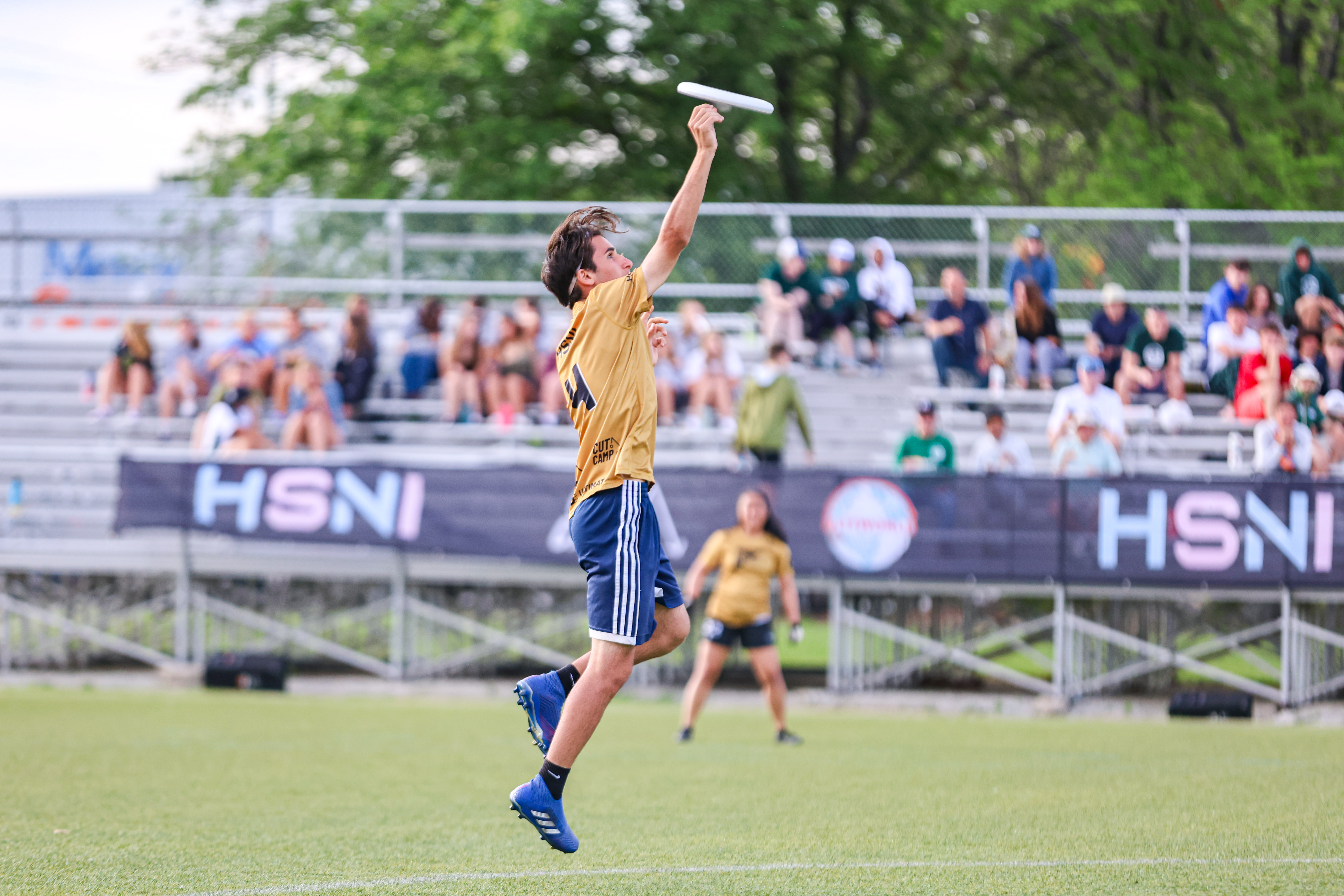 Ultimate Frisbee Hyde Park