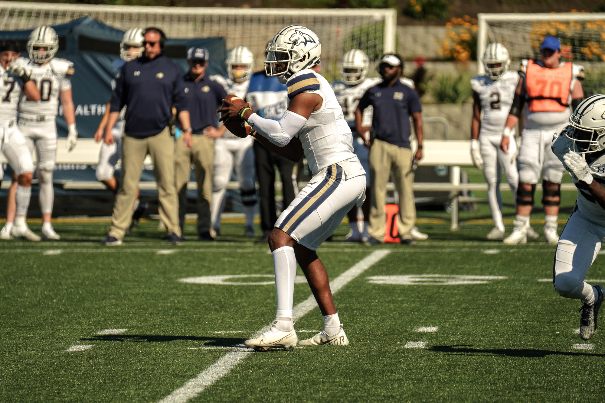 Portland State Vikings football vs. Montana State Bobcats - oregonlive.com
