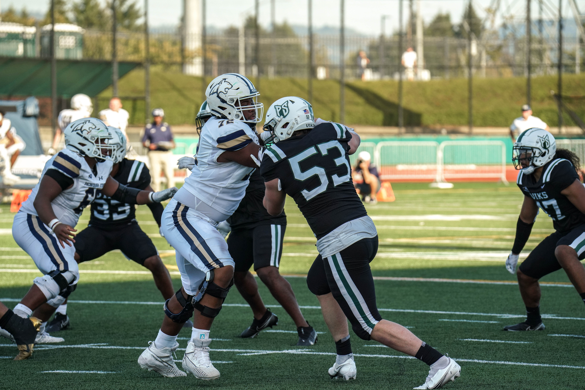 Portland State Vikings football vs. Montana State Bobcats - oregonlive.com