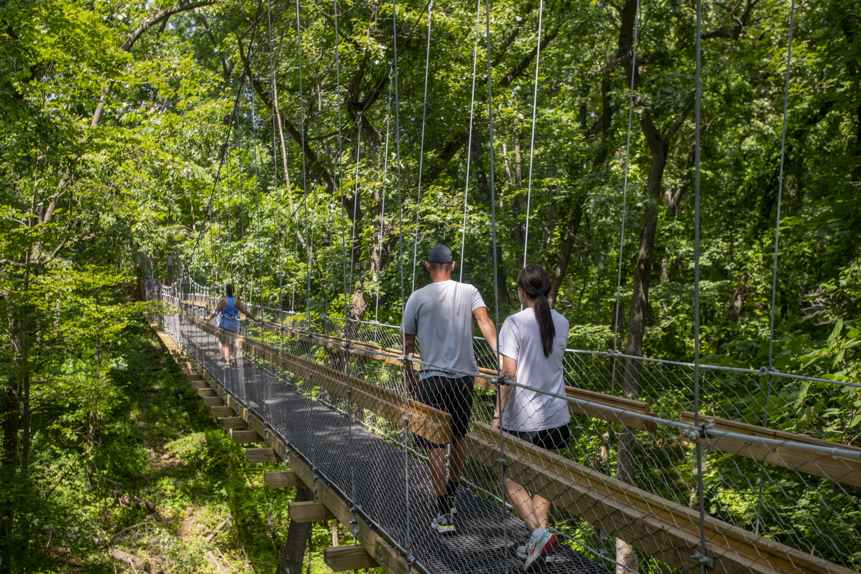 Sky Canopy Walk opens at MSU’s Hidden Lake Gardens - mlive.com