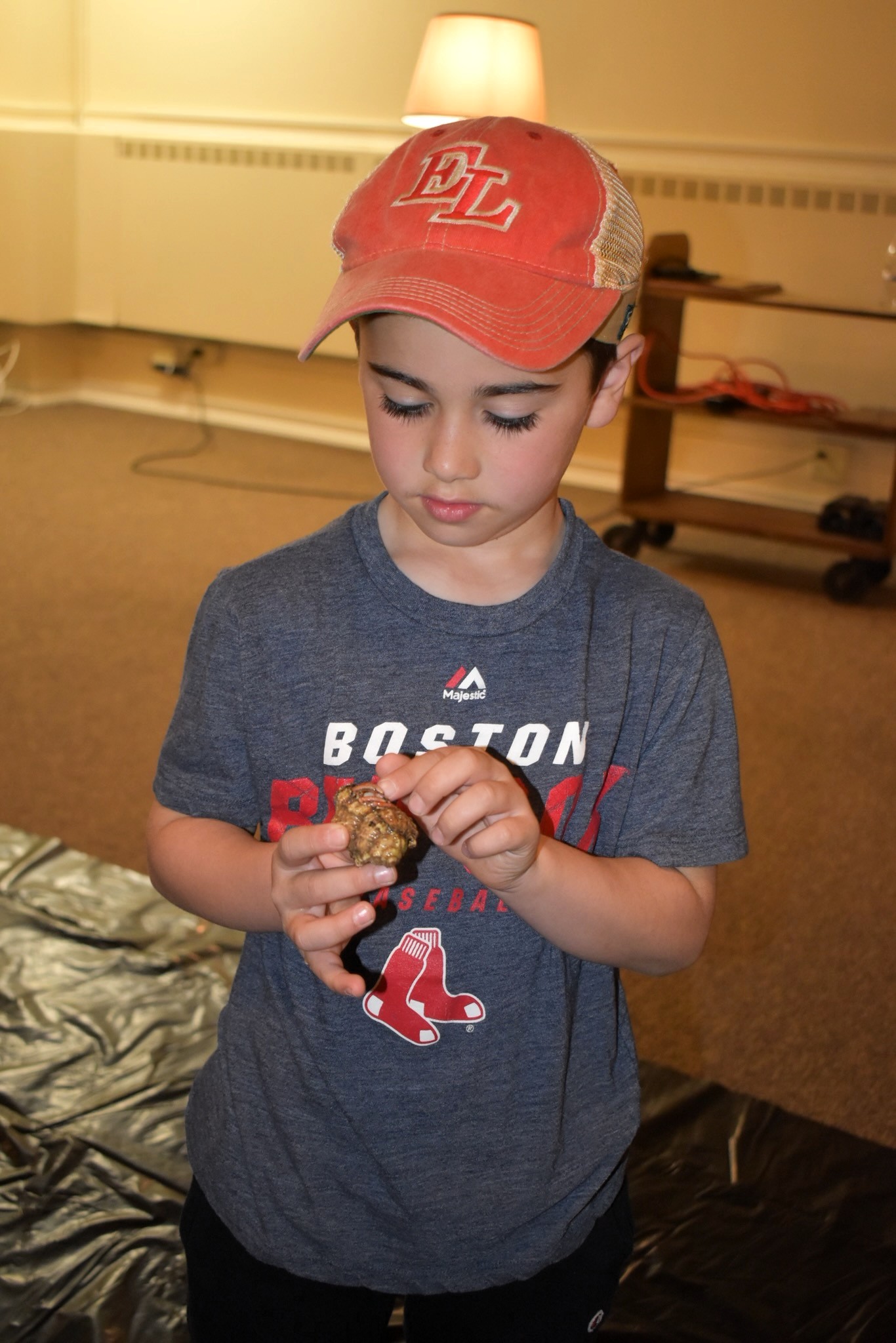 Pagoo the hermit crab habitat at Westfield Athenaeum - masslive.com