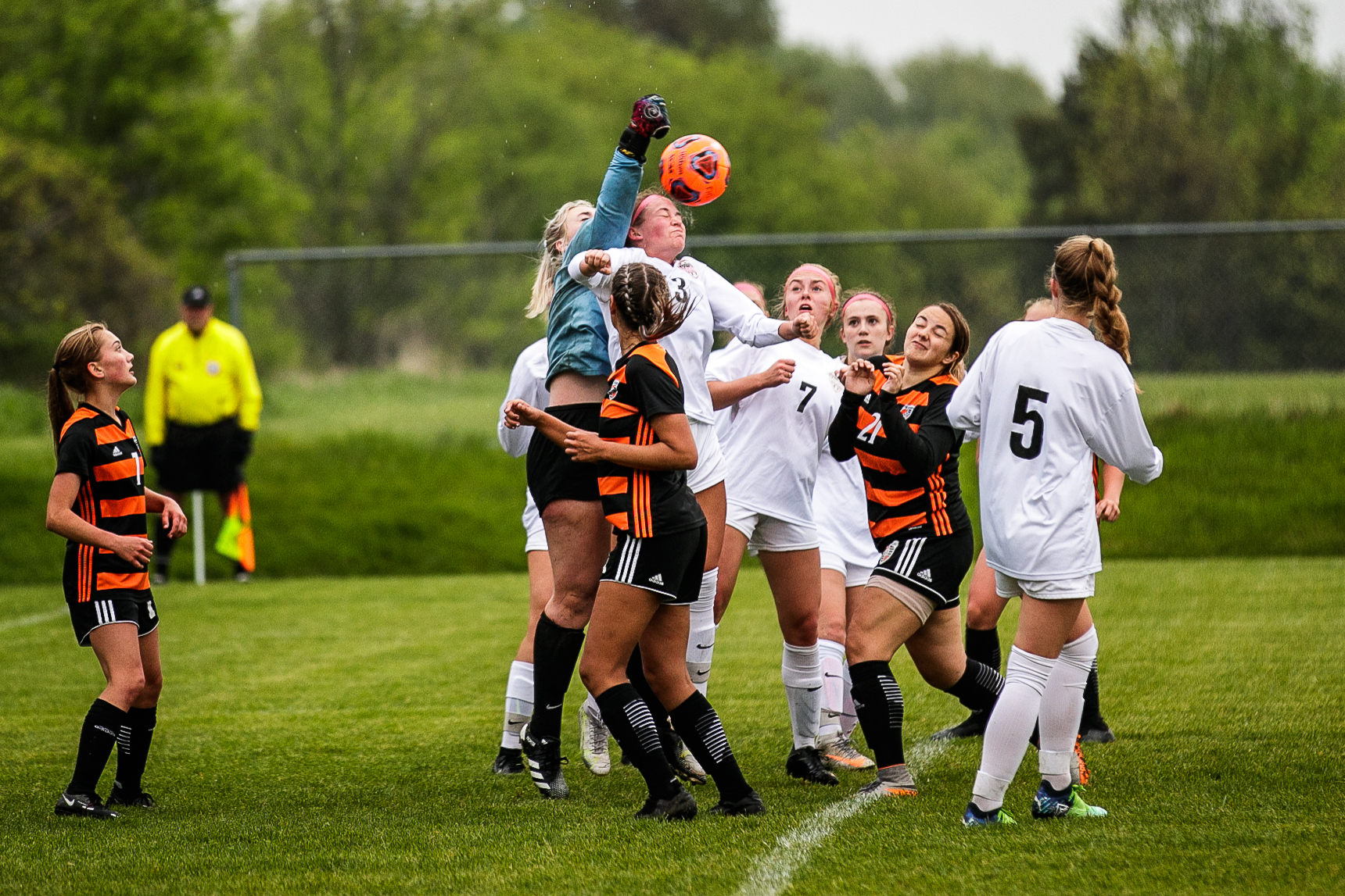 Linden defeats Flushing 2-1 in the Metro League Championship - mlive.com