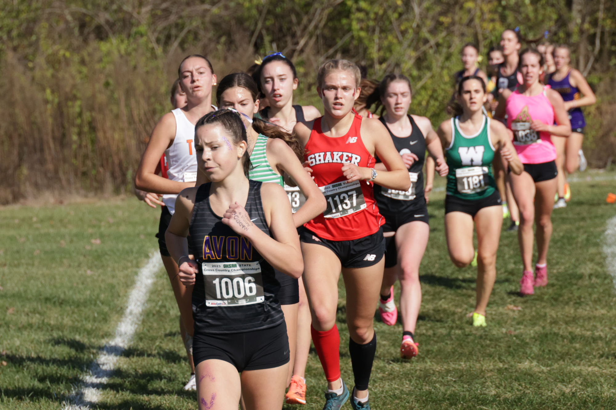 Ohio Girls Cross Country State Championships, 2023 - cleveland.com