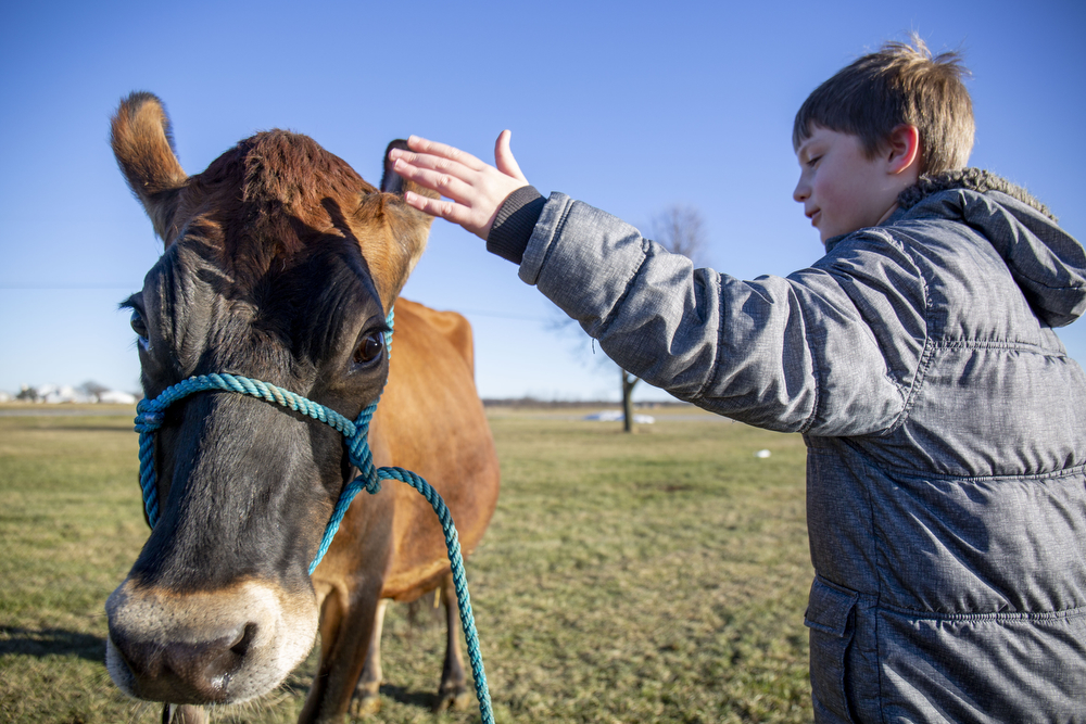 The 2021 Pennsylvania Farm Show - pennlive.com