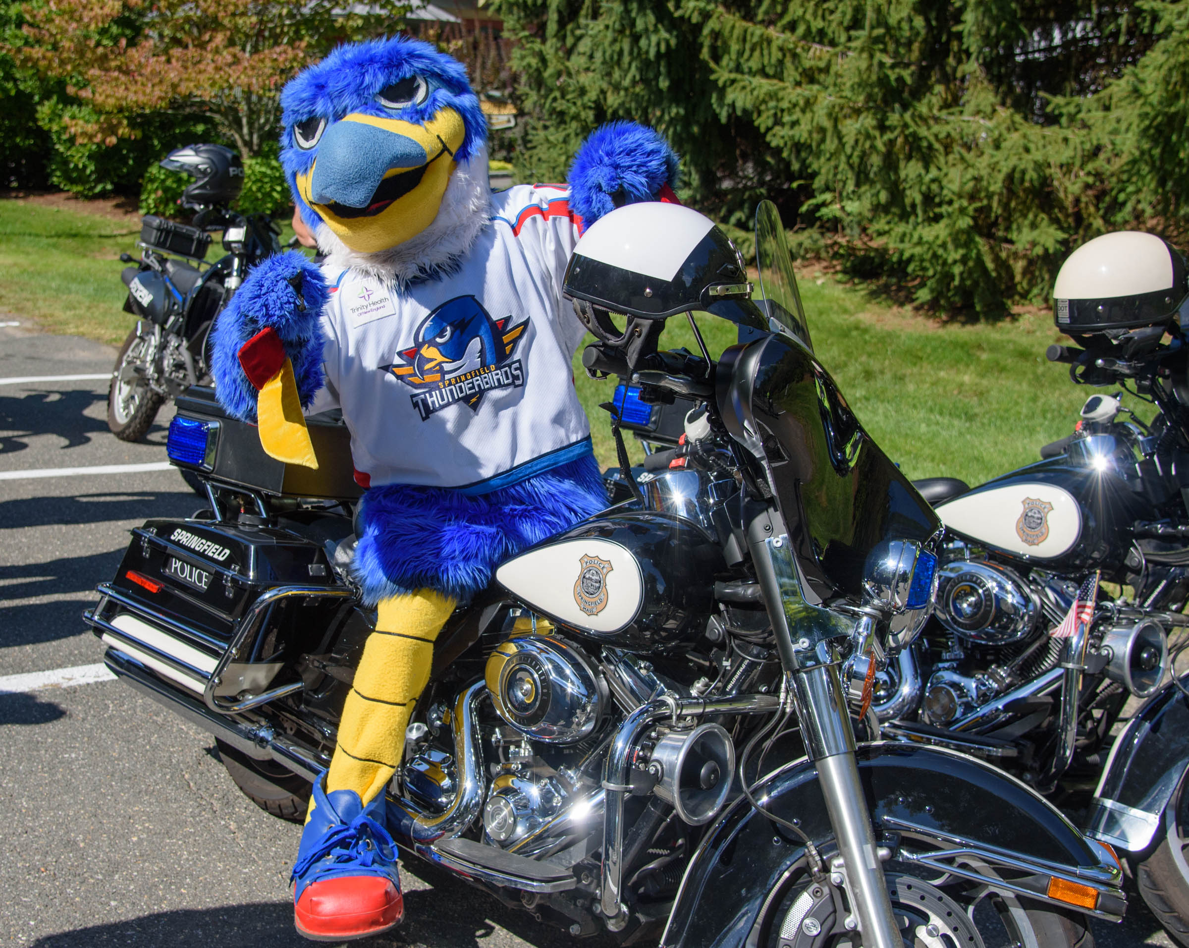 Springfield Day celebrated with parade through city - masslive.com