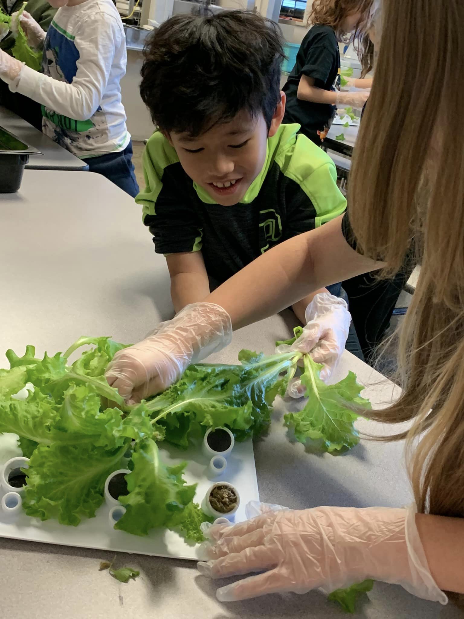 ‘Lettuce’ learn: Parma students harvest salad fixings from hydroponic farm
