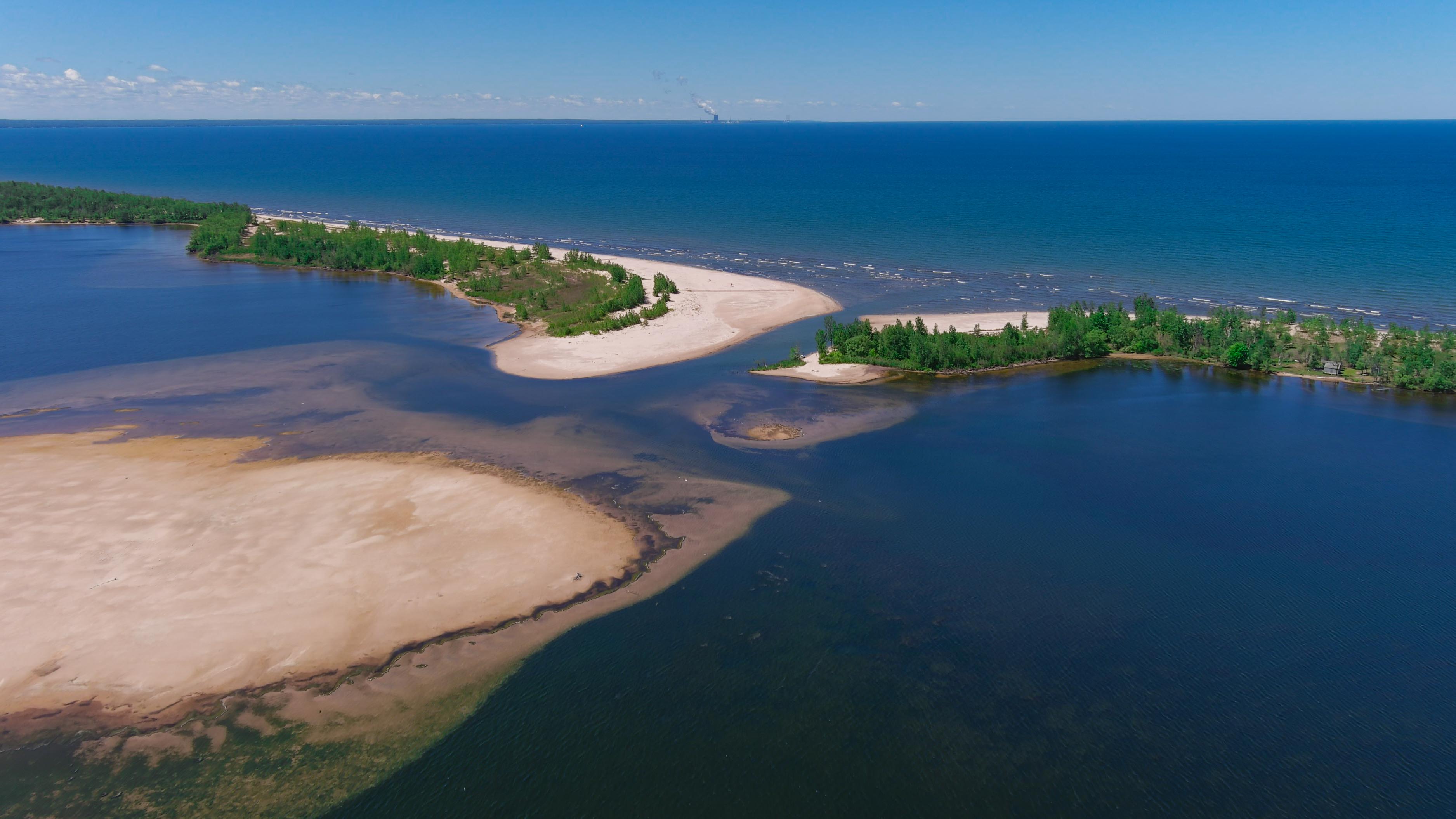 Sandy Pond community at the mercy of endangered bird - syracuse.com