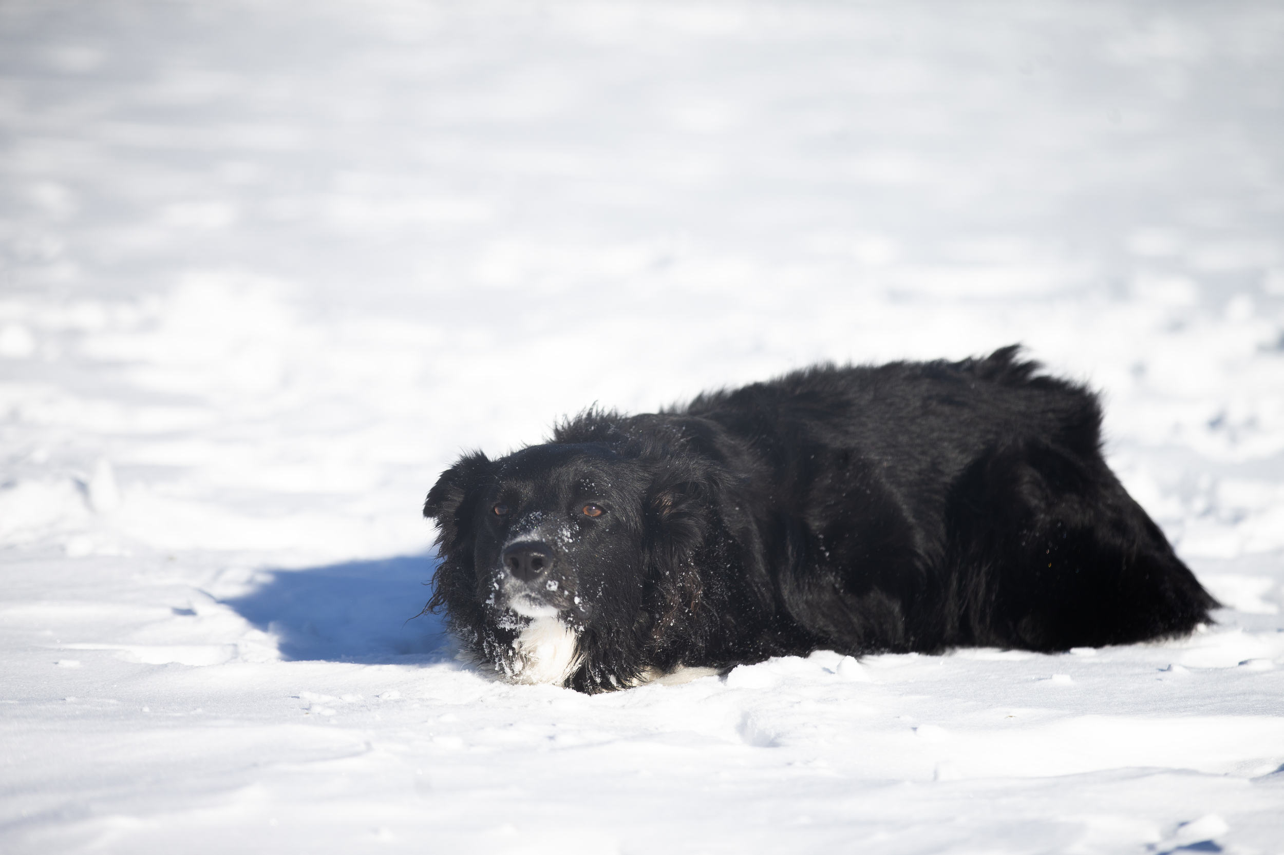 Snow in Portland: Friday, Feb. 24, 2023 - oregonlive.com