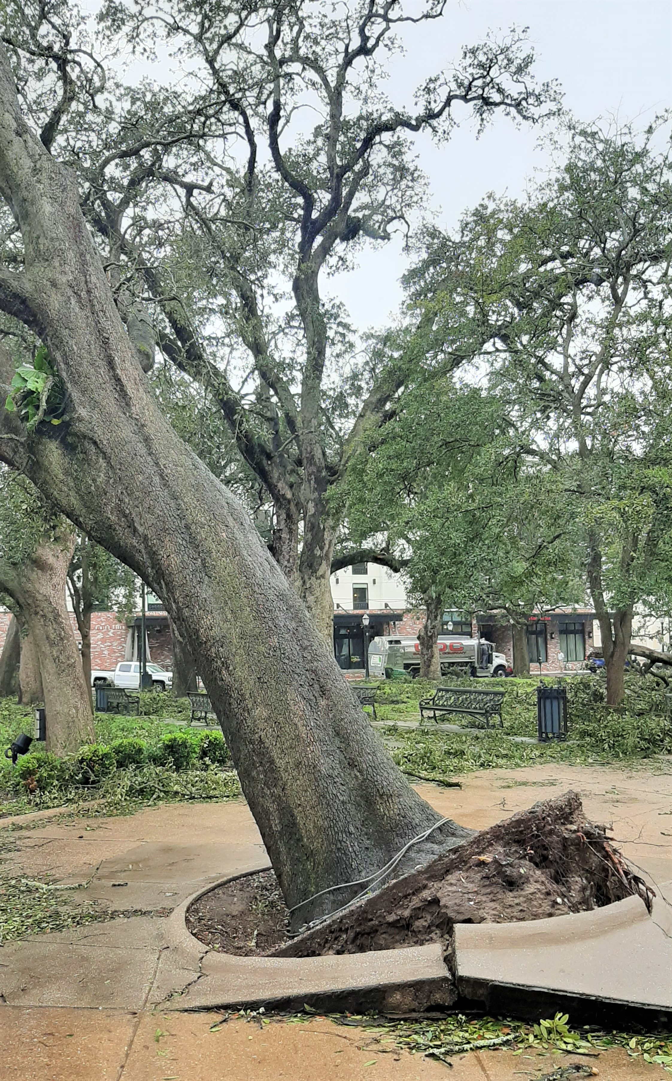 Hurricane Sally damage in coastal Alabama - pennlive.com