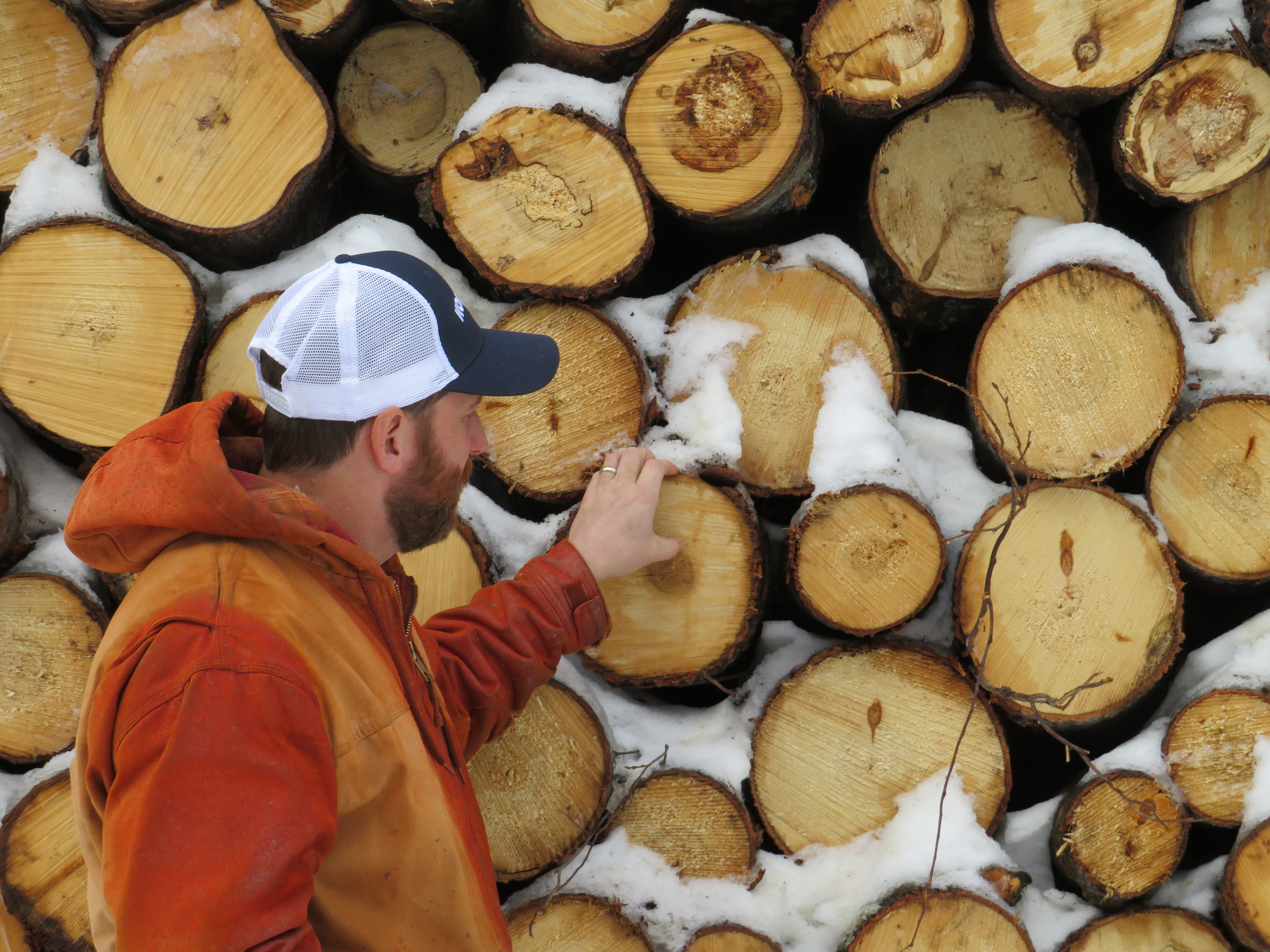 Michigan, Great Lakes Environmental & Conservation News - MLive.com