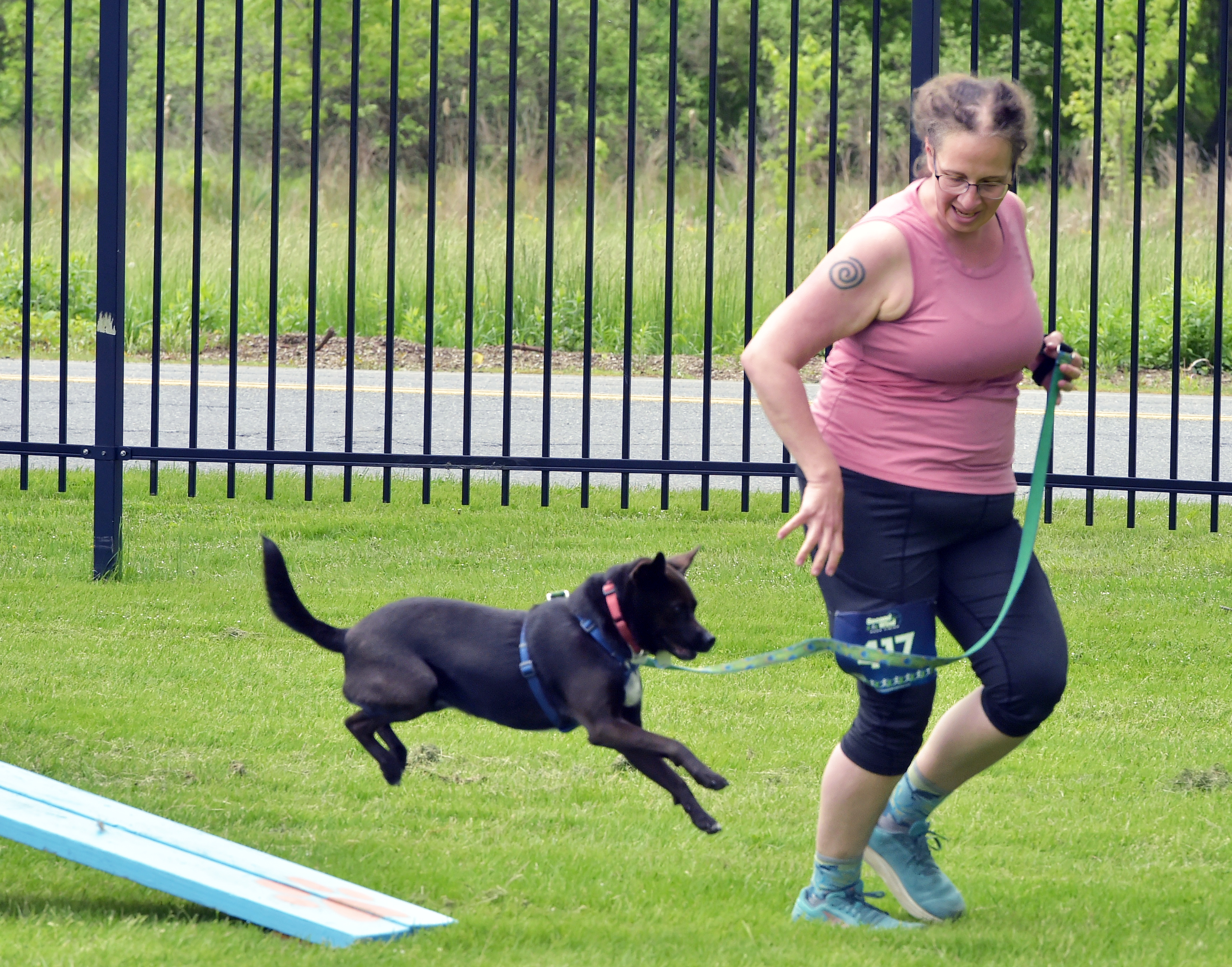 Mutts and Mayhem Obstacle Race benefits Paws Park in Greenfield ...