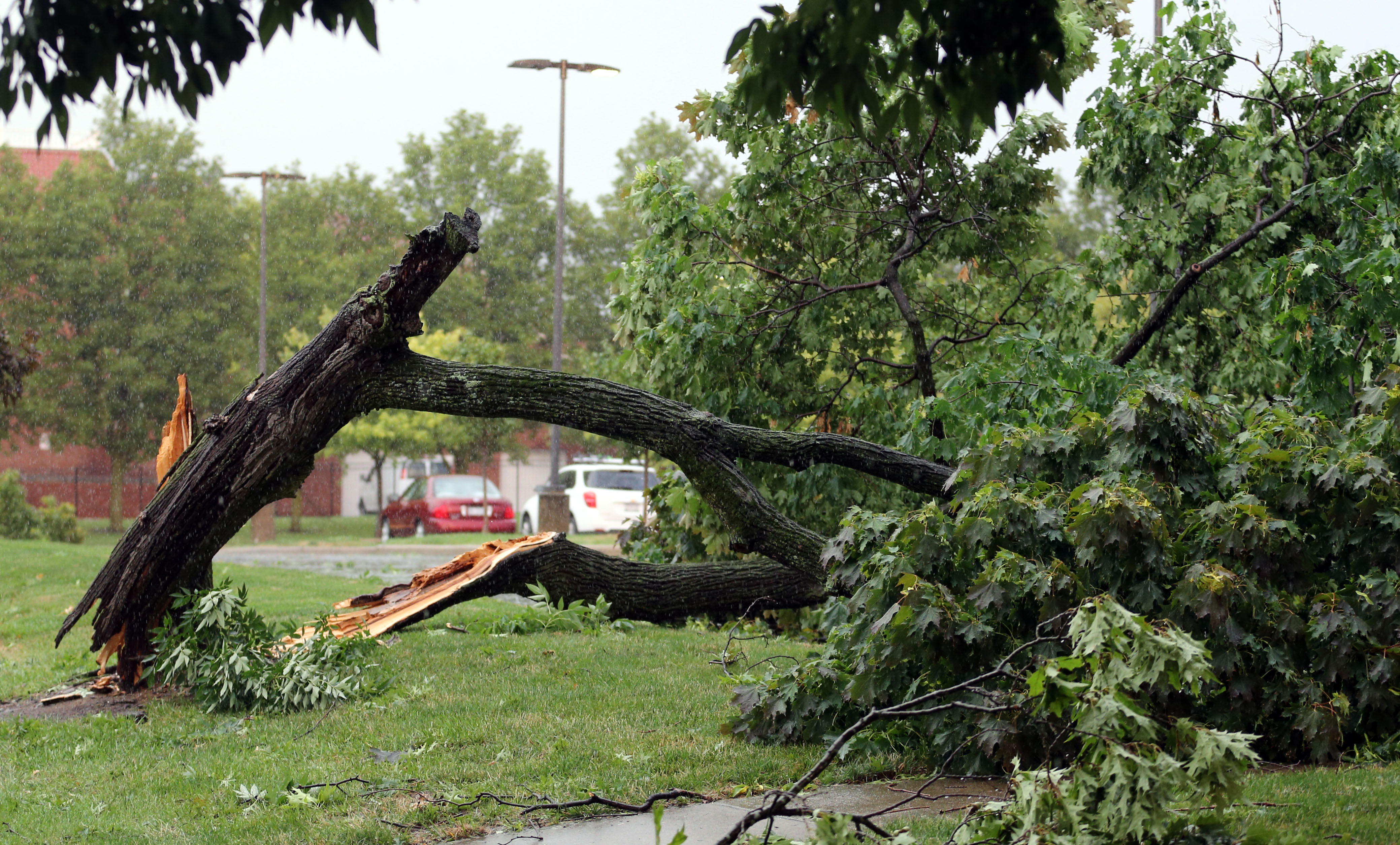 Storm cleanup begins after damaging winds hit Northeast Ohio, August 6 ...
