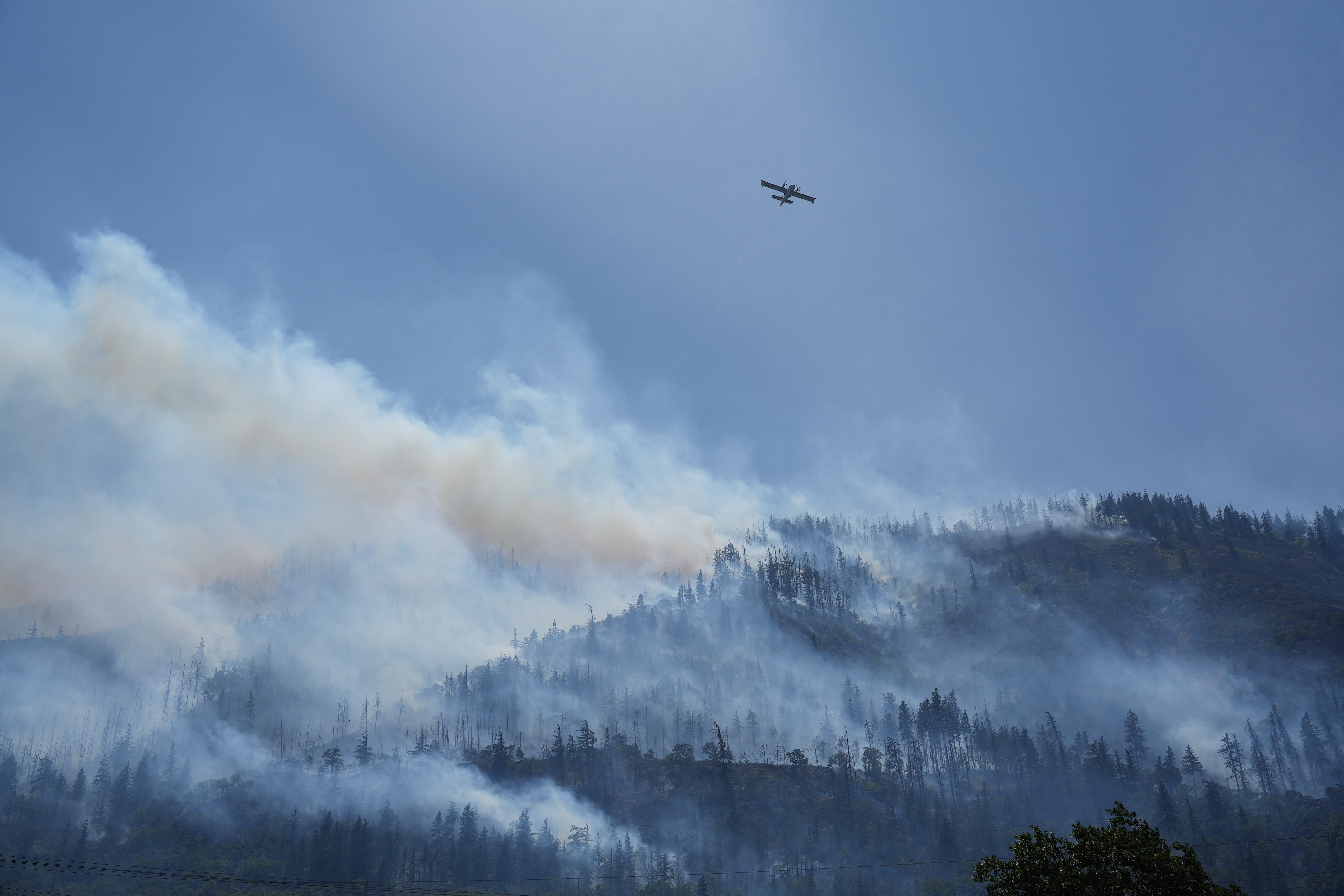 Oregon Politics News | Northwest US Politics & Elections - OregonLive.com