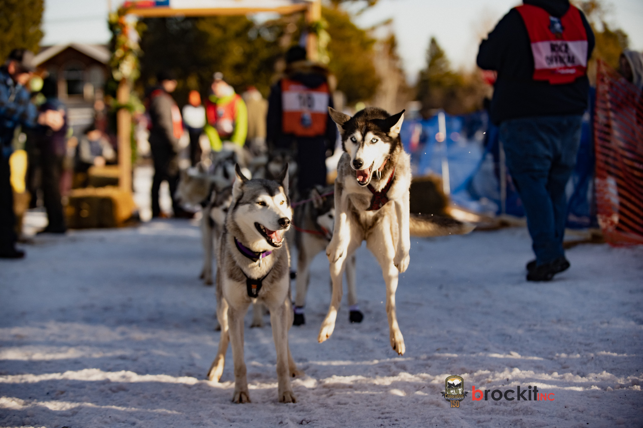 2023 CopperDog 150 sled dog race in Michigan's U.P. - mlive.com