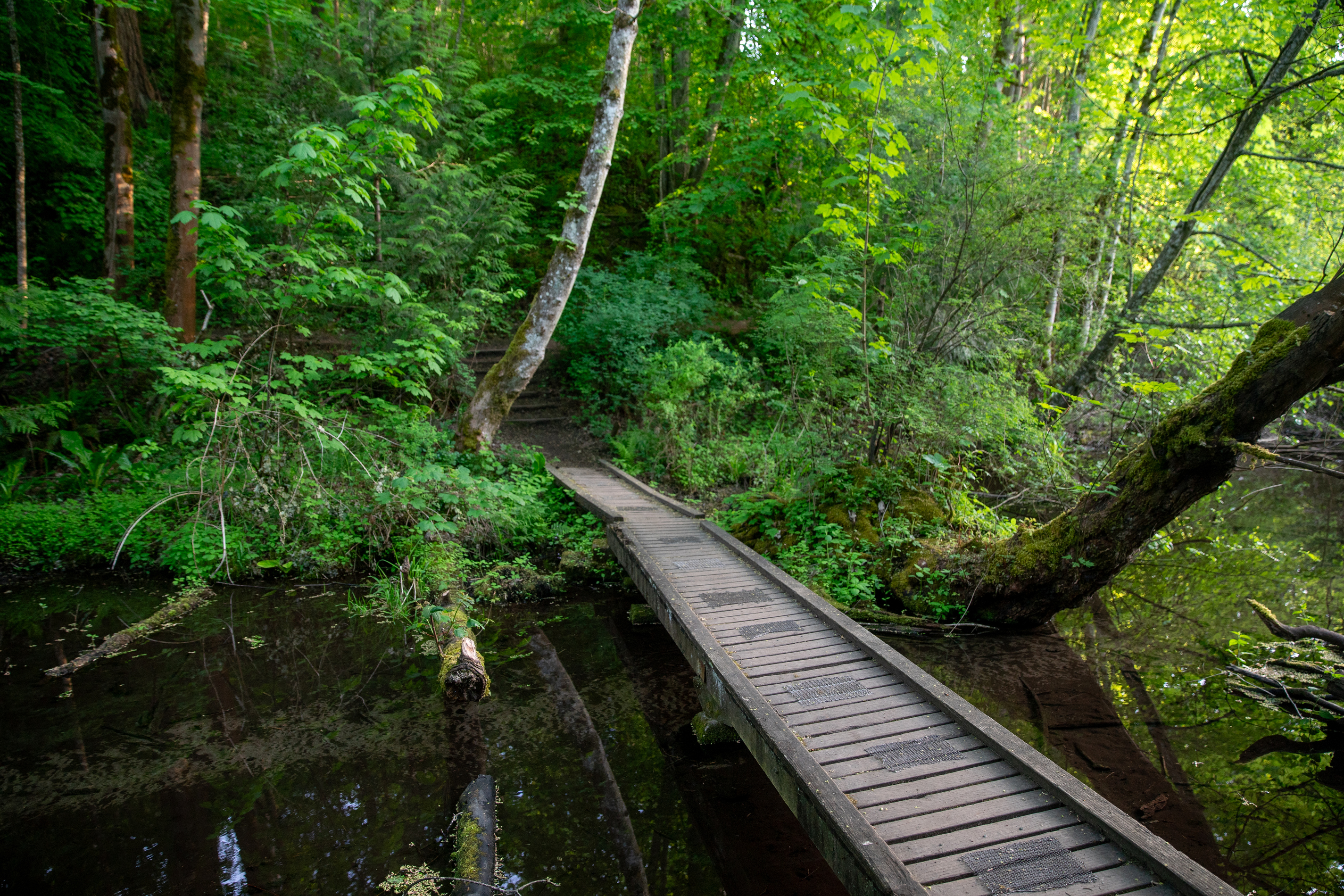 Reed College's Reed Lake 2025 - oregonlive.com