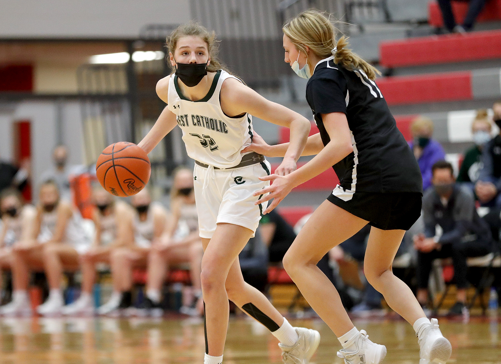 Newaygo stuns Grand Rapids West Catholic in a Division 2 girls regional ...