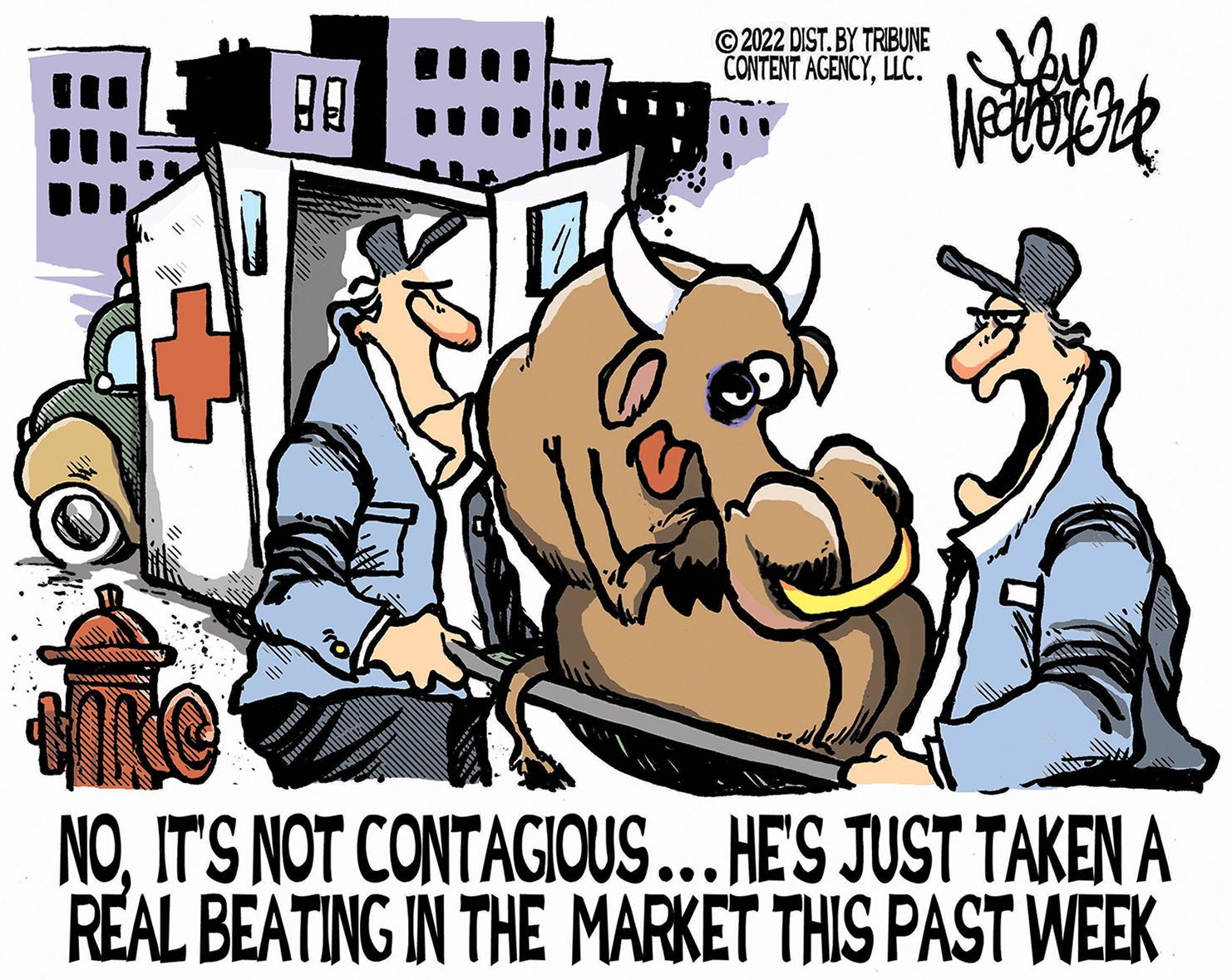 Editorial cartoons for May 15, 2022 - syracuse.com