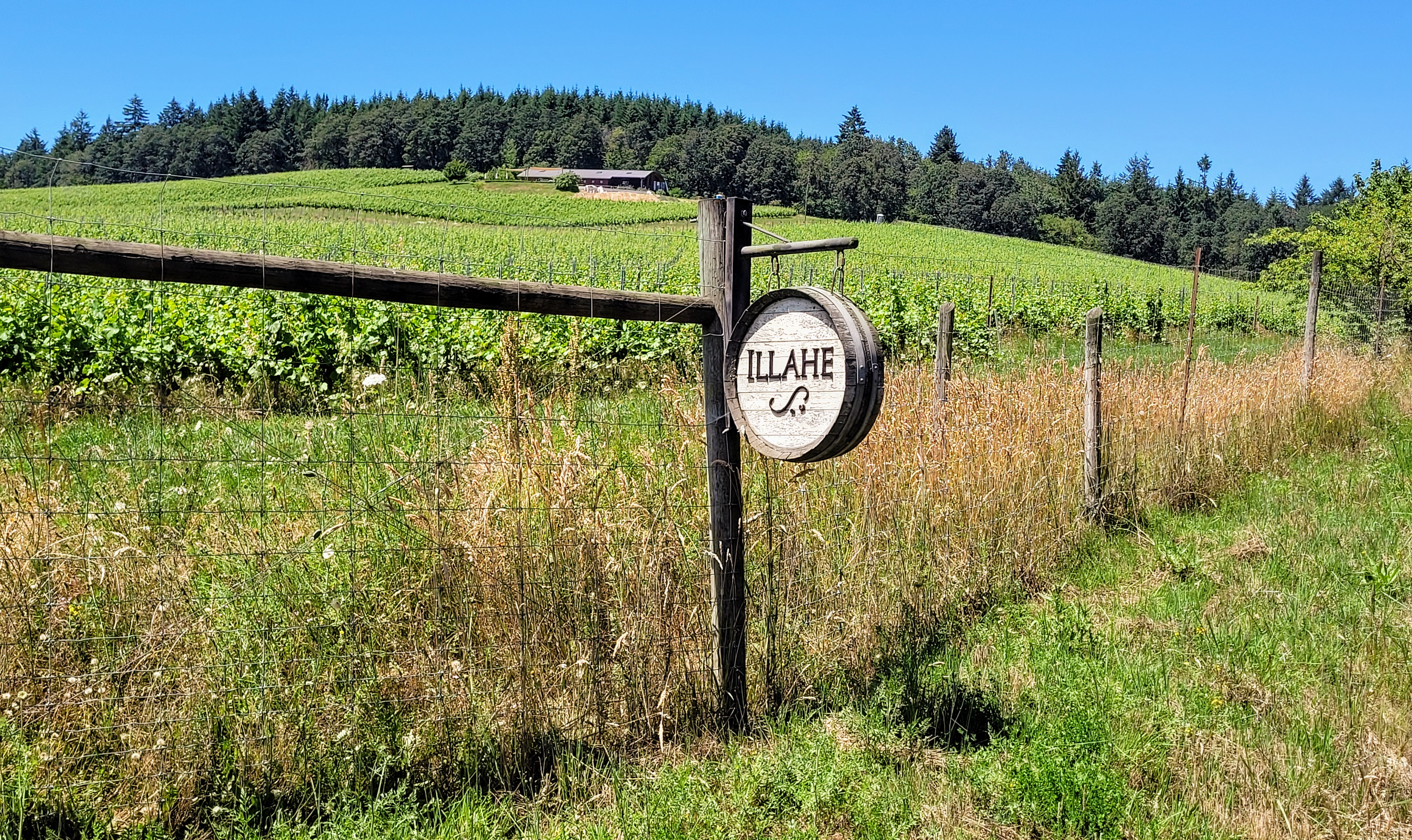 Mount Pisgah, Oregon's newest AVA - oregonlive.com