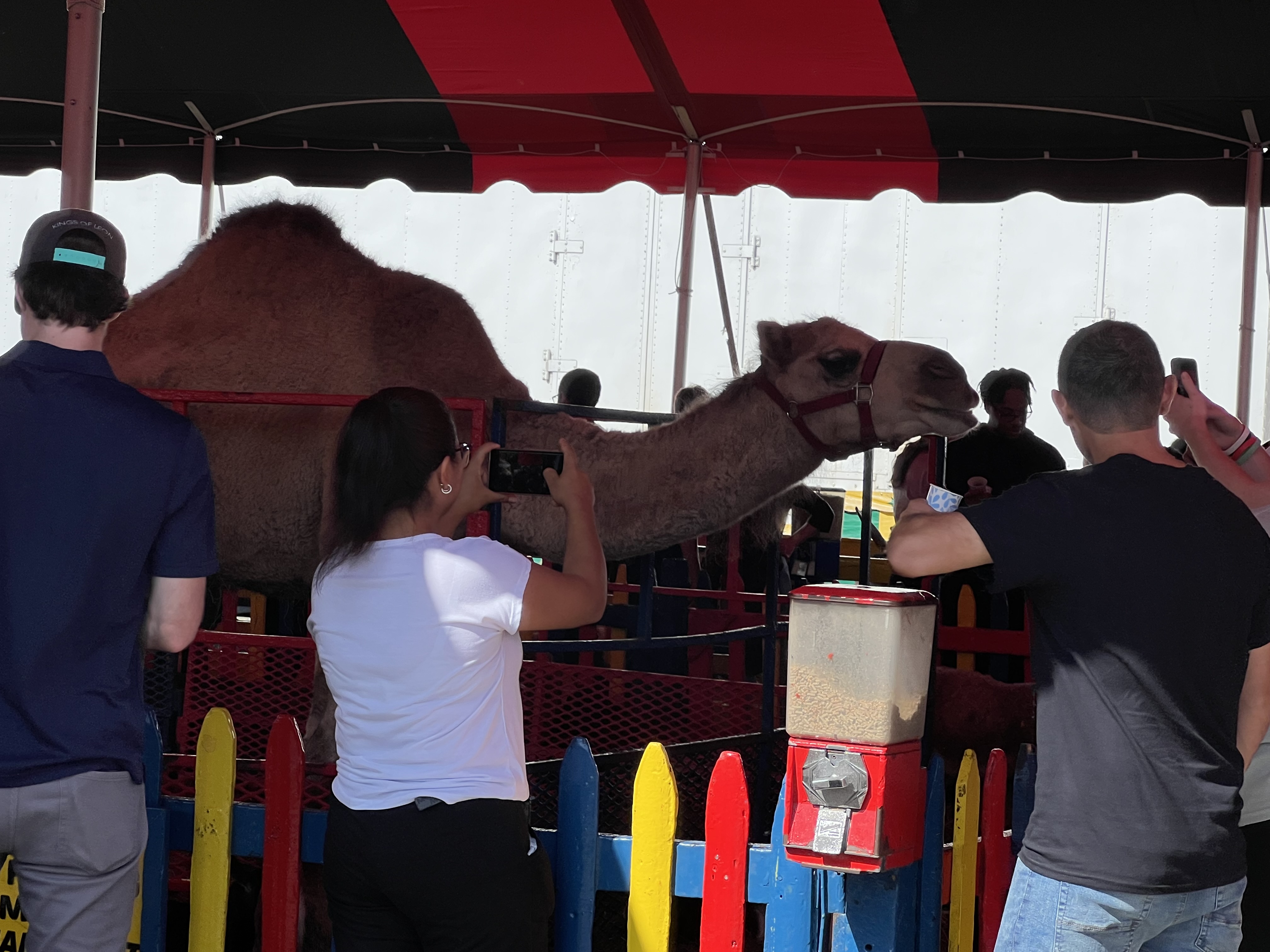 The last day of The Big E 2023 - masslive.com