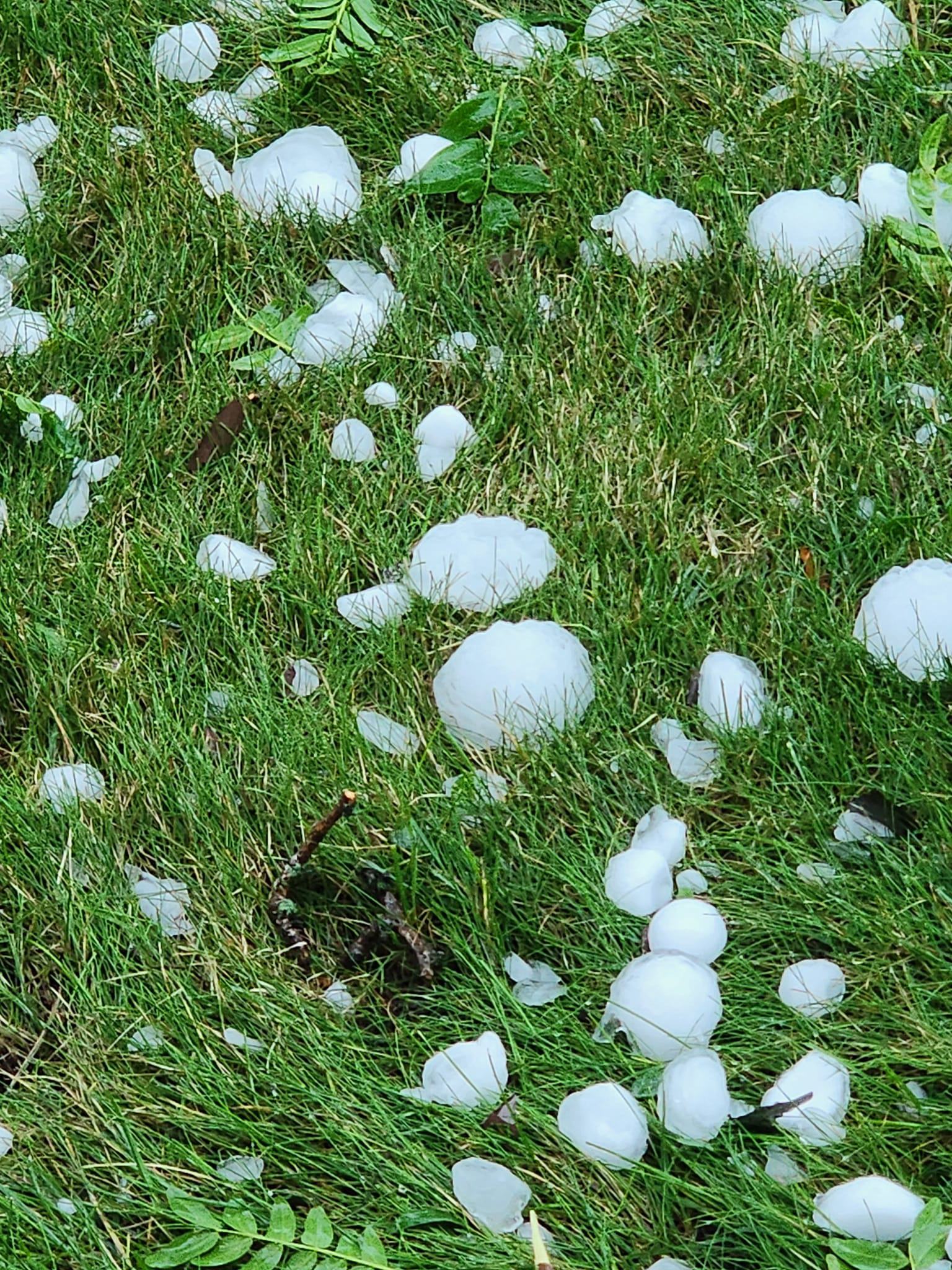 Tennis ball-sized hail blasts Davison in thunderstorm - mlive.com