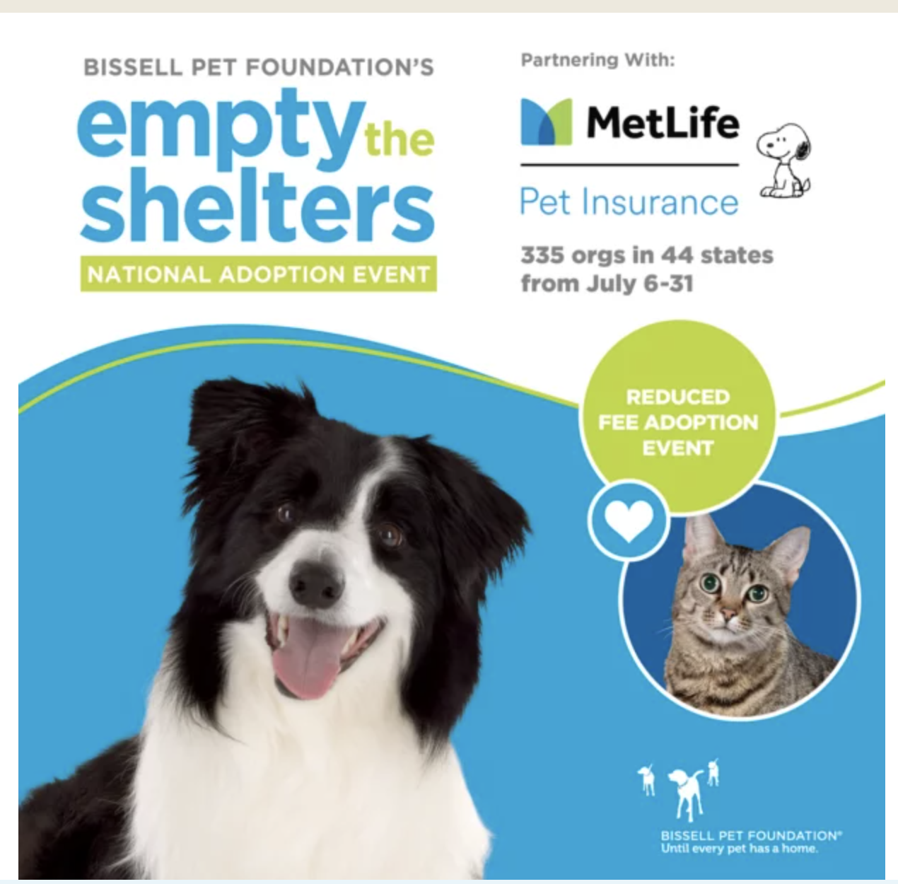 BISSELL Pet Foundation - Empty the Shelters - silive.com