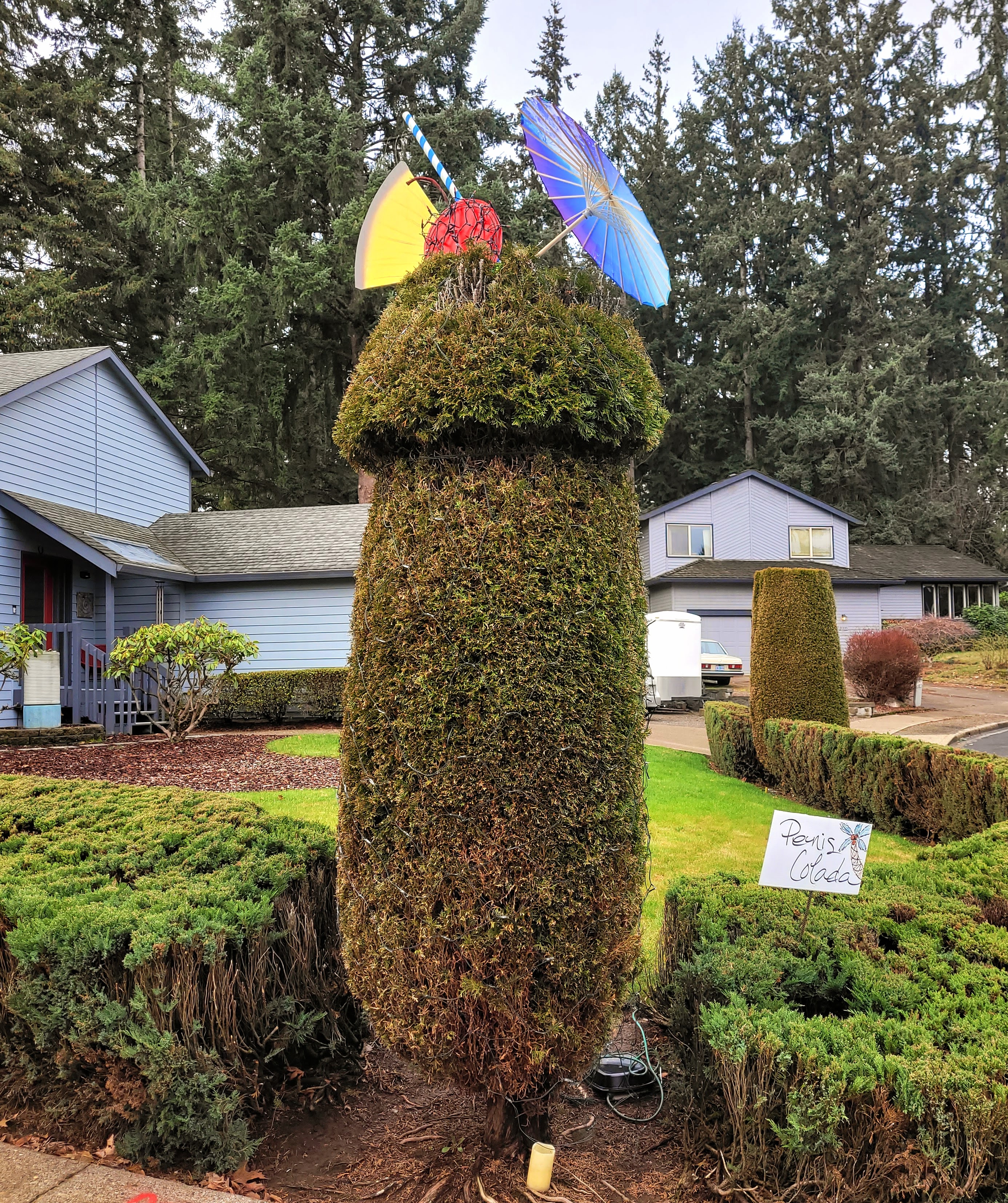 Tualatin's suggestive topiary - oregonlive.com