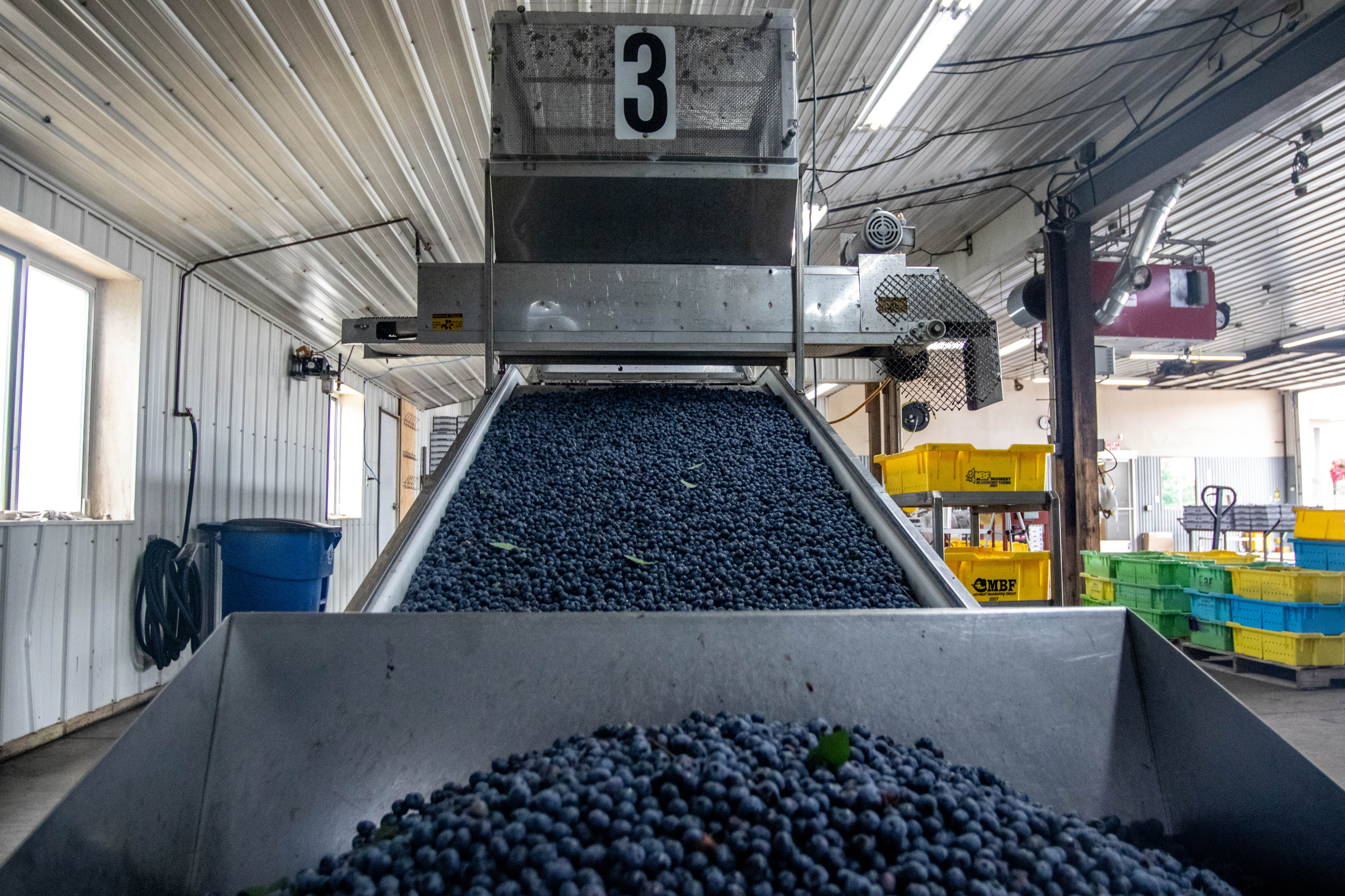 Reenders Blueberry Farms - mlive.com