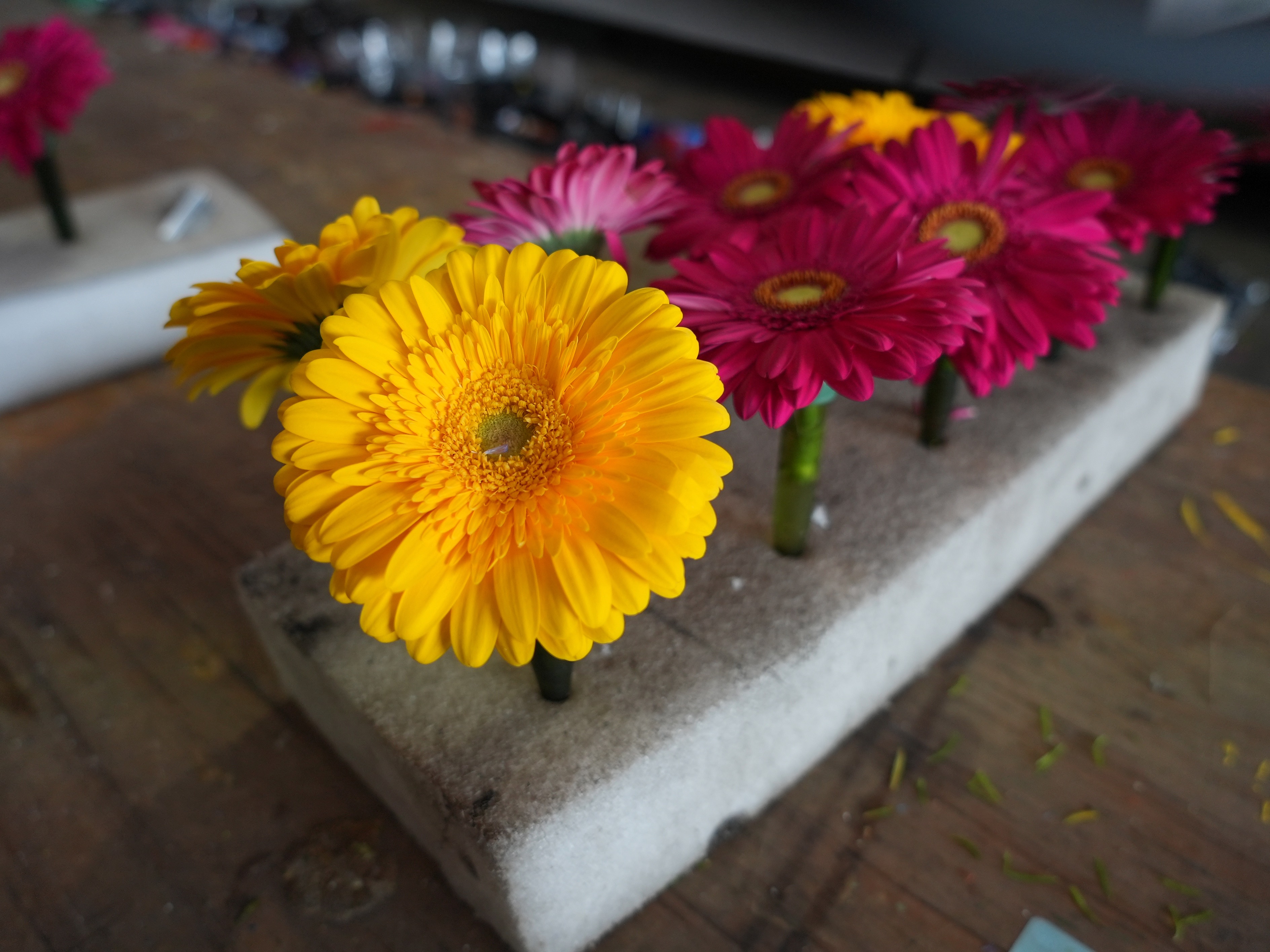 Grand Floral Parade float making - oregonlive.com