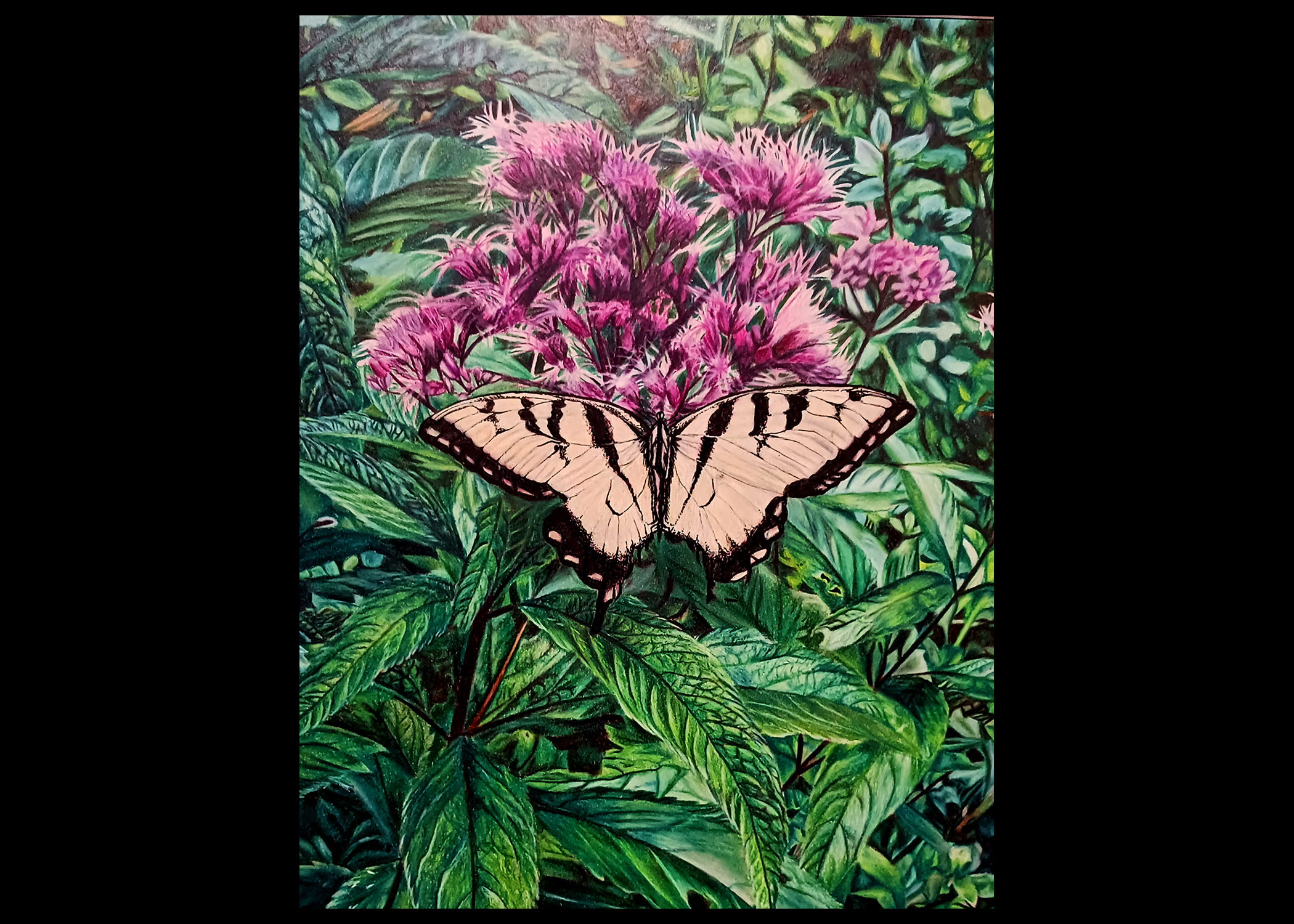 2024 CNY Scholastic Art Awards: Drawing & Illustration - syracuse.com