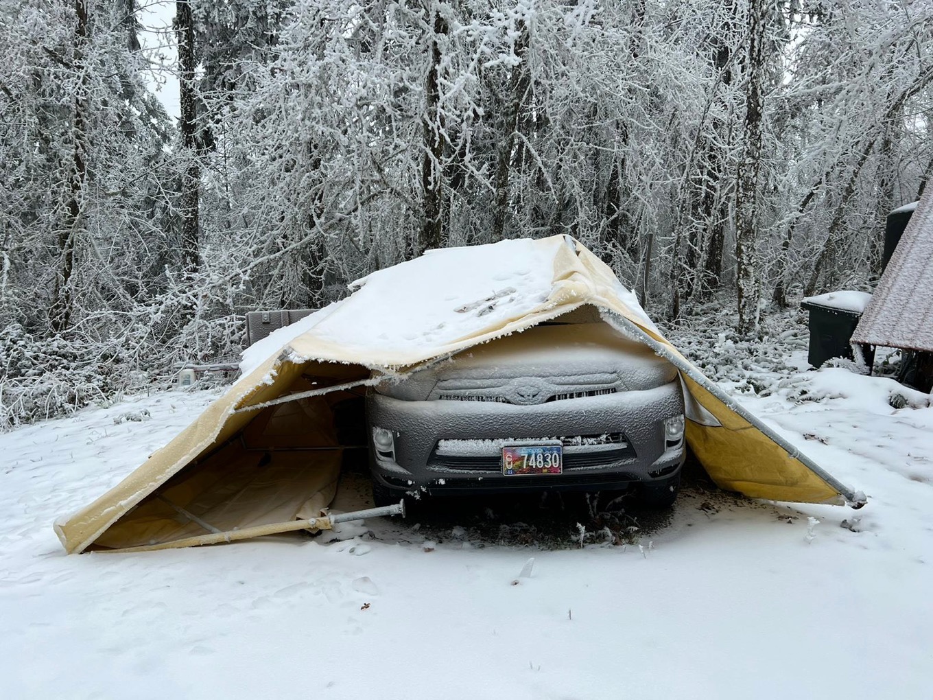 Cascades Raptor Center storm damage - oregonlive.com